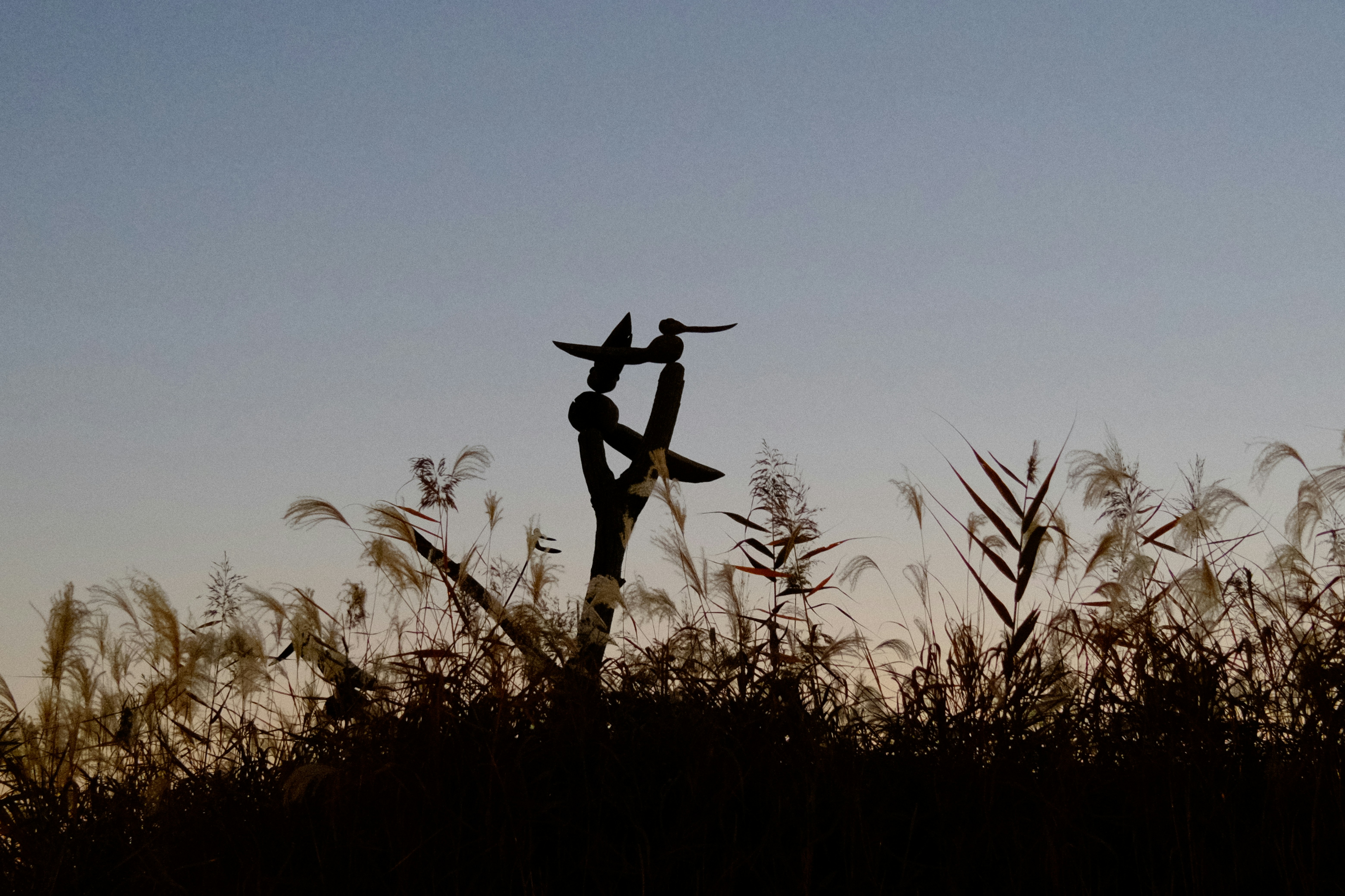 Silhouette of a Child Fly-Positioned Bird in a Golden Meadow