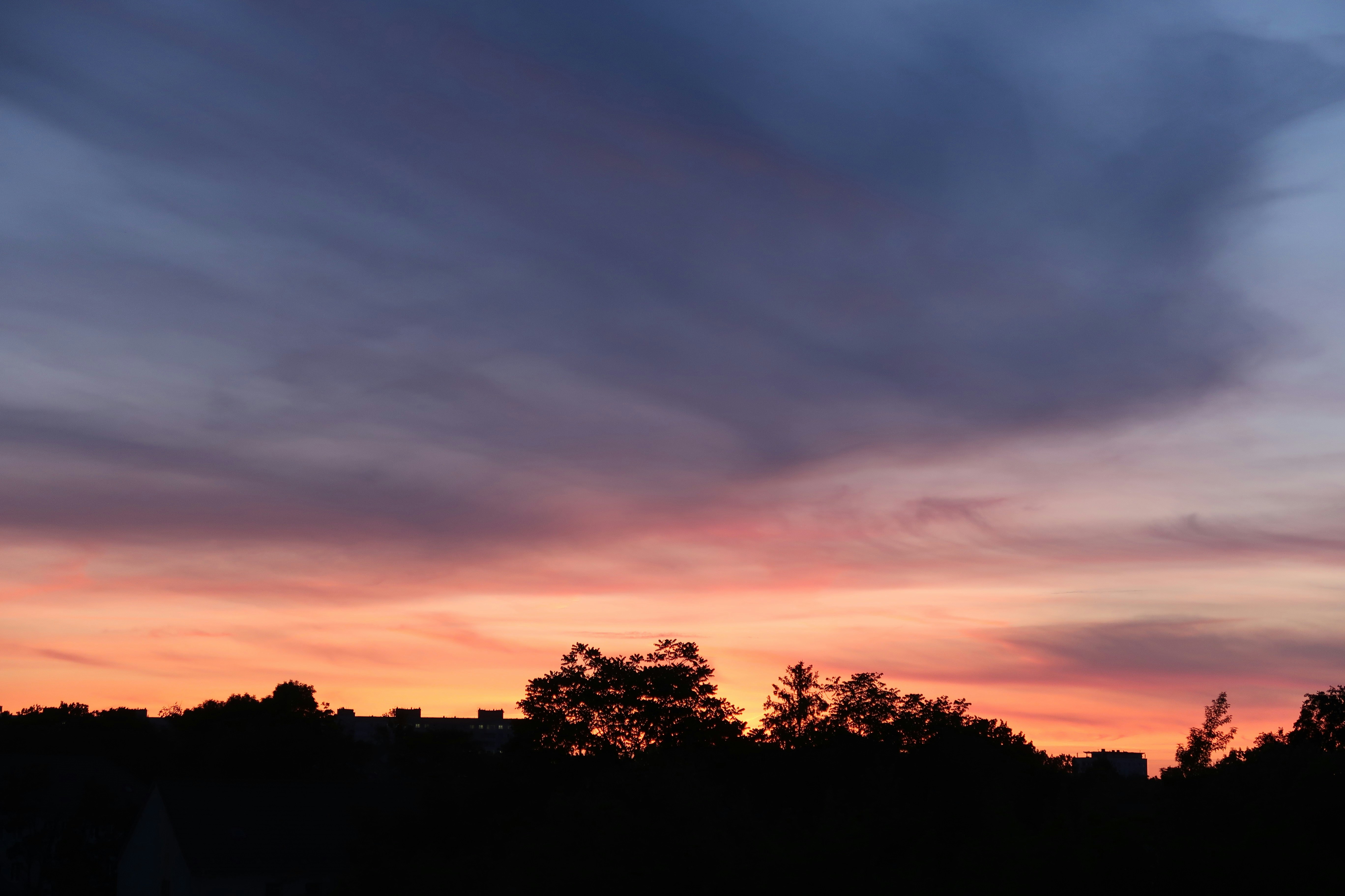 Silhouette at Sundown: Horizon Echoes