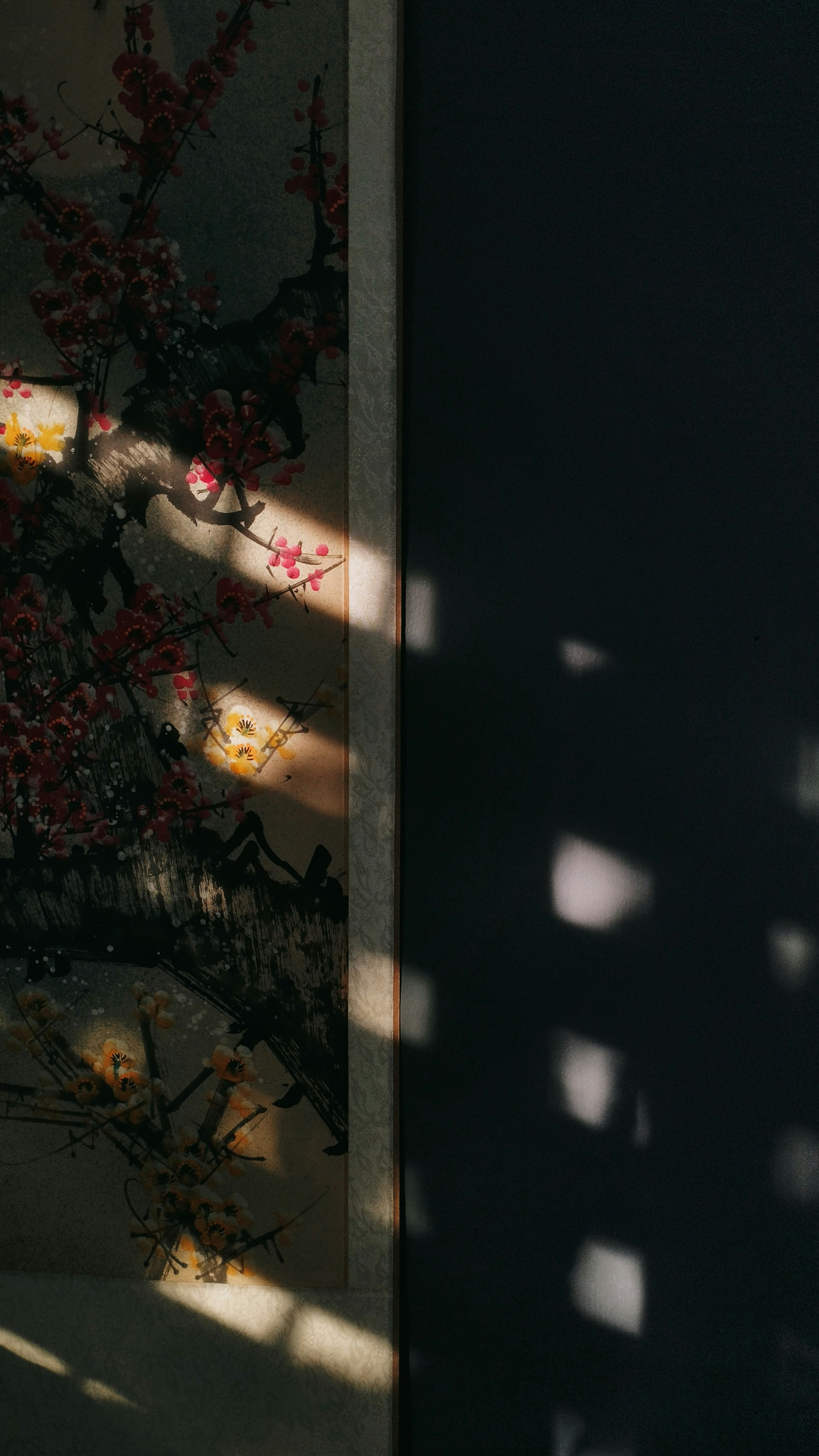 Shadowed Panel with Cherry Blossom Reflections