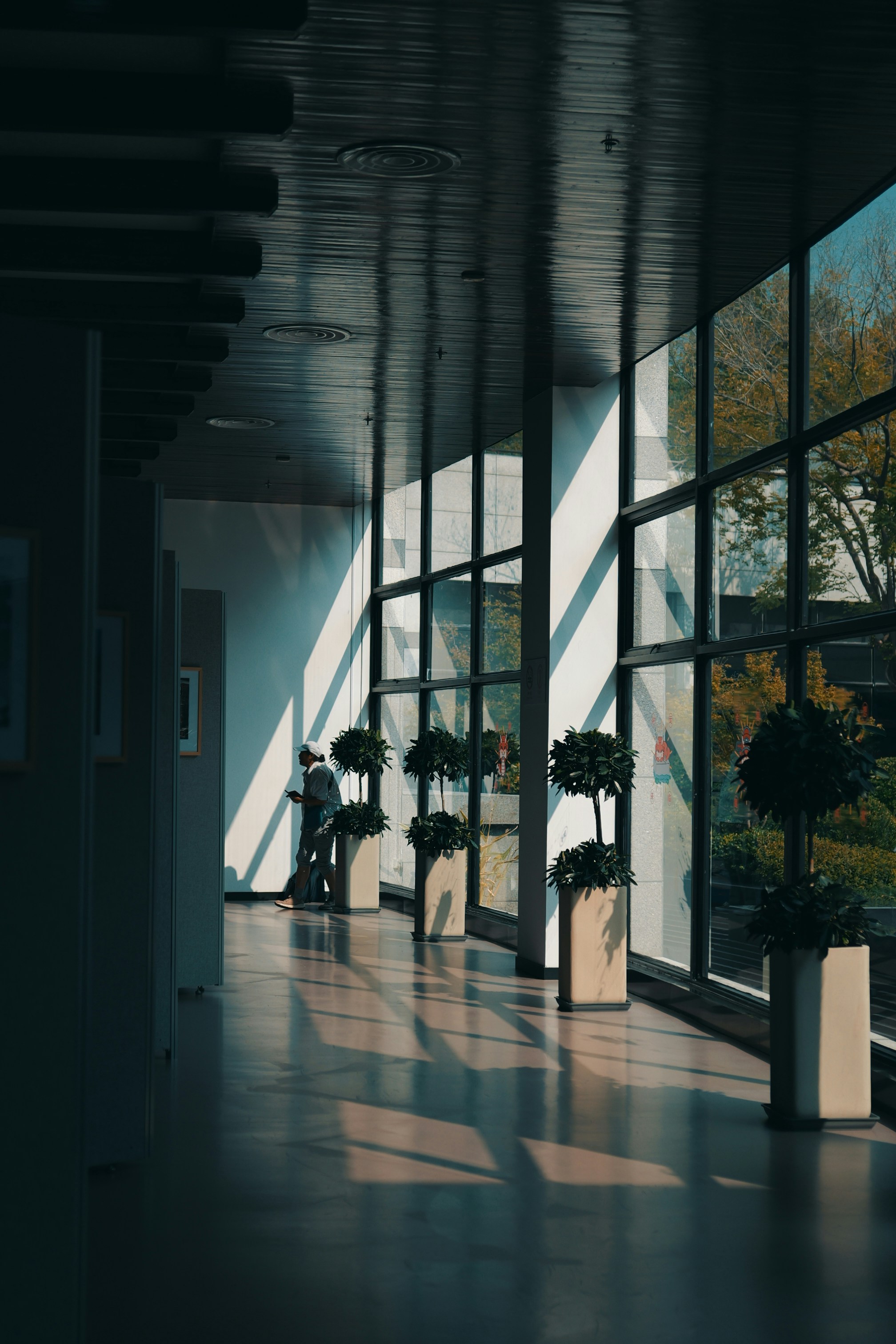 Sunlit Corridor: A Row of Planters Cast in Long Shadows Inside a Modern Atrium