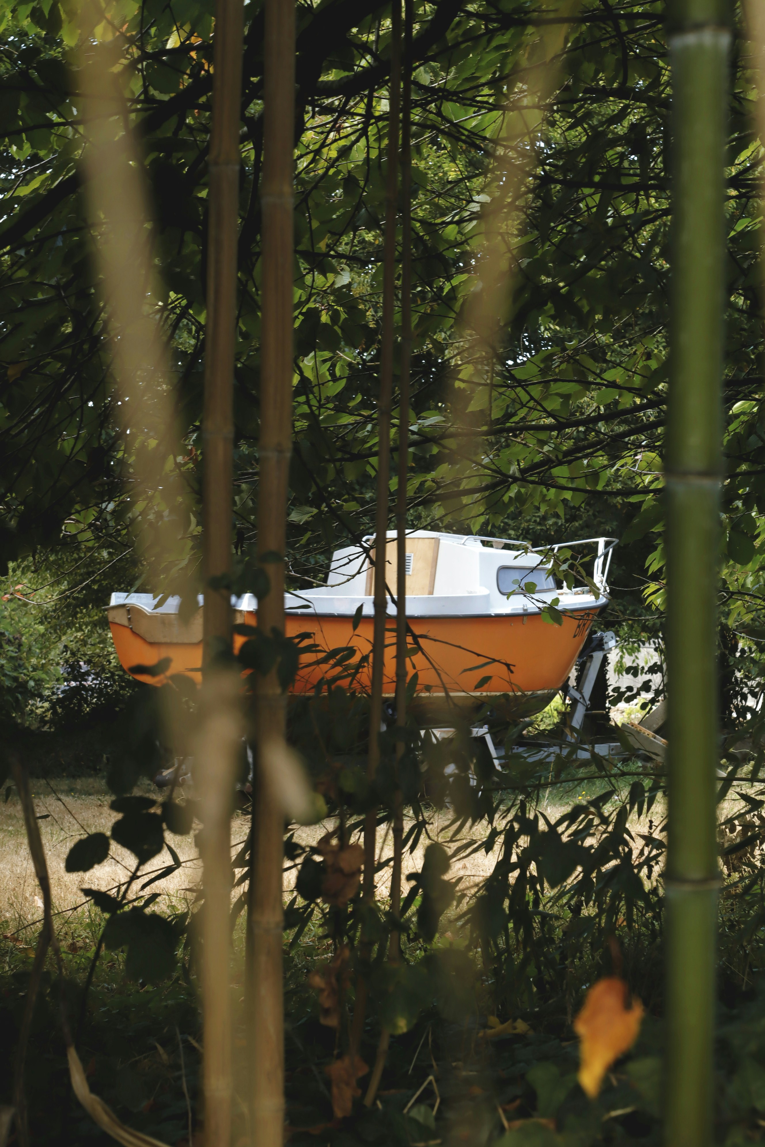 Hidden Vessel: An Orange Boat Nestled Amid Garden Foliage