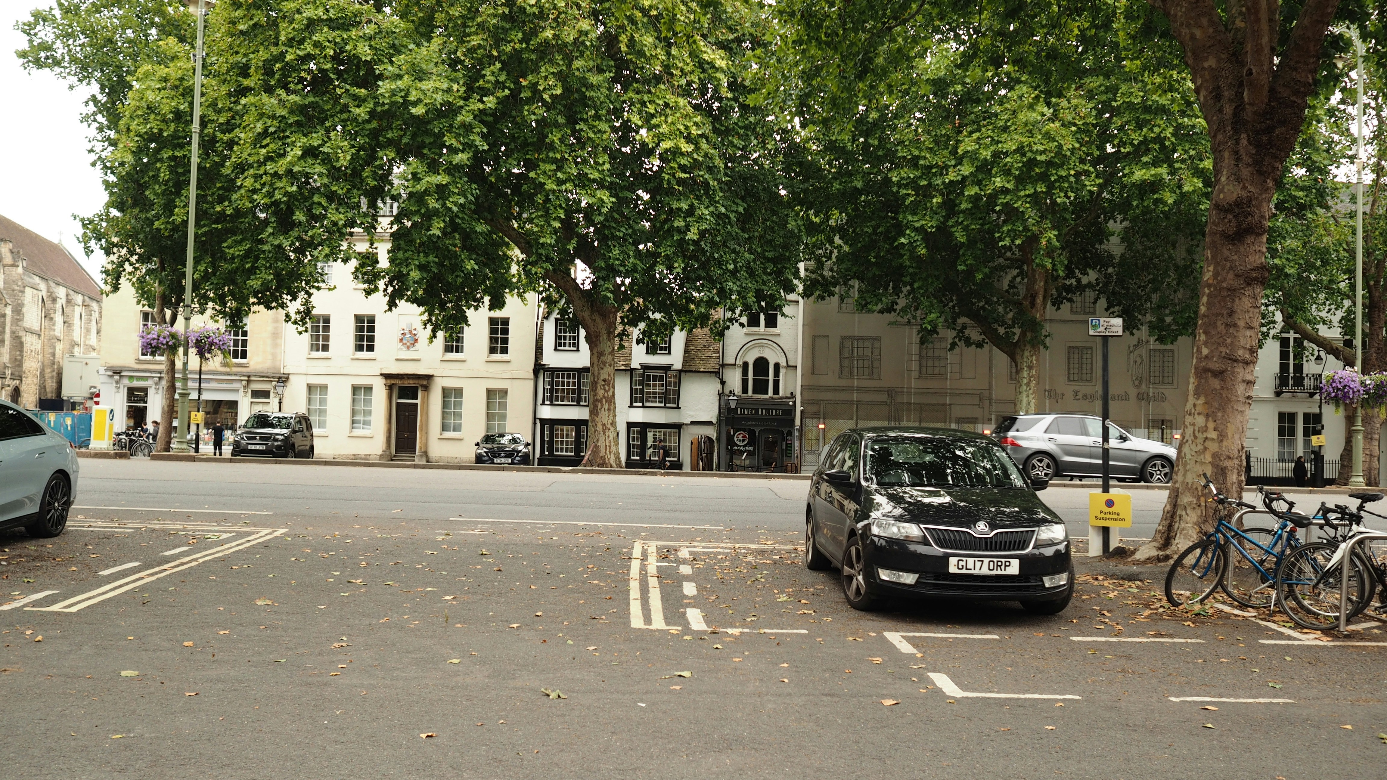 Streetside Calm: Parked Car Under Canopy of Urban Trees