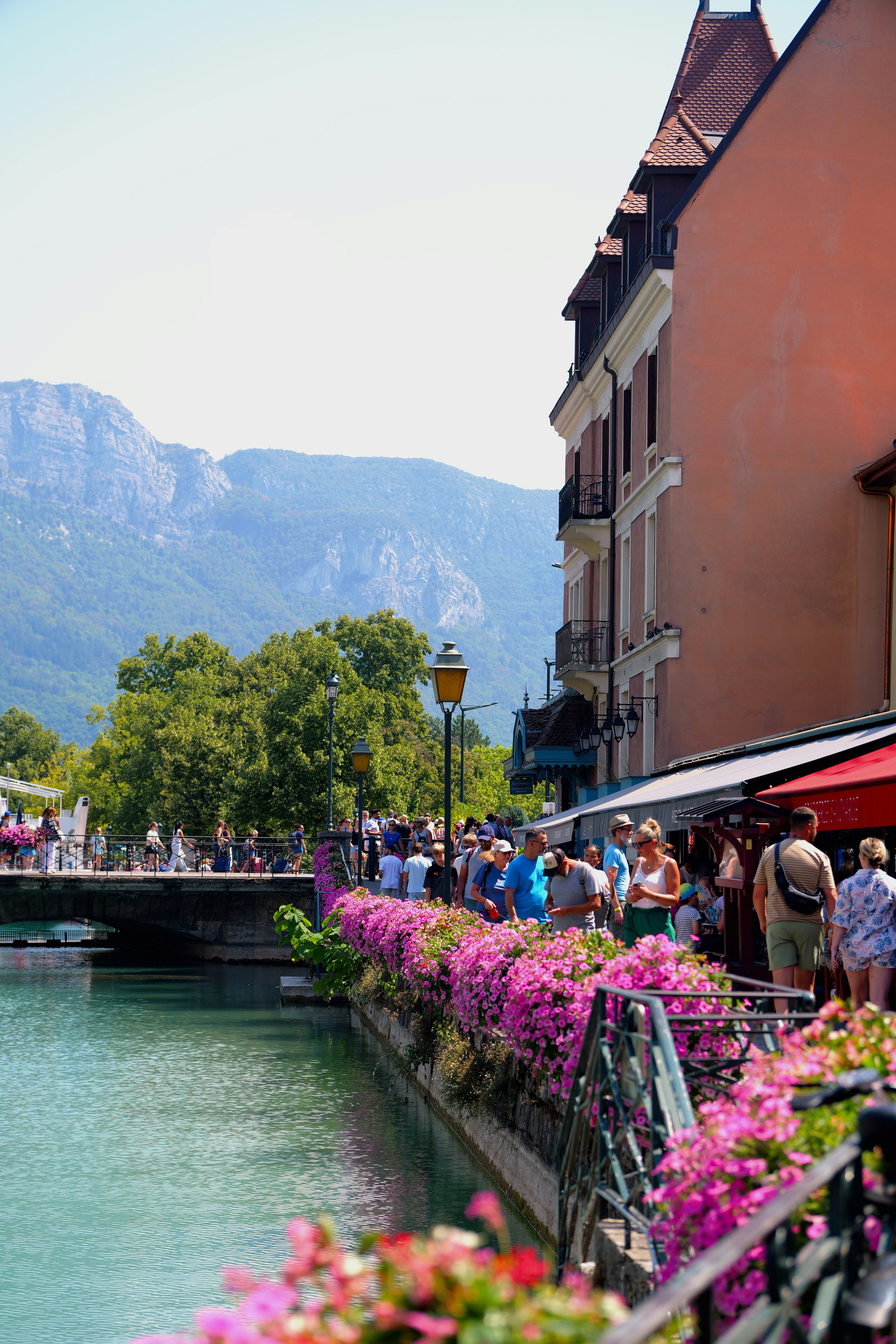 Lively riverside lane lined with pink blossoms under a sunlit European facade