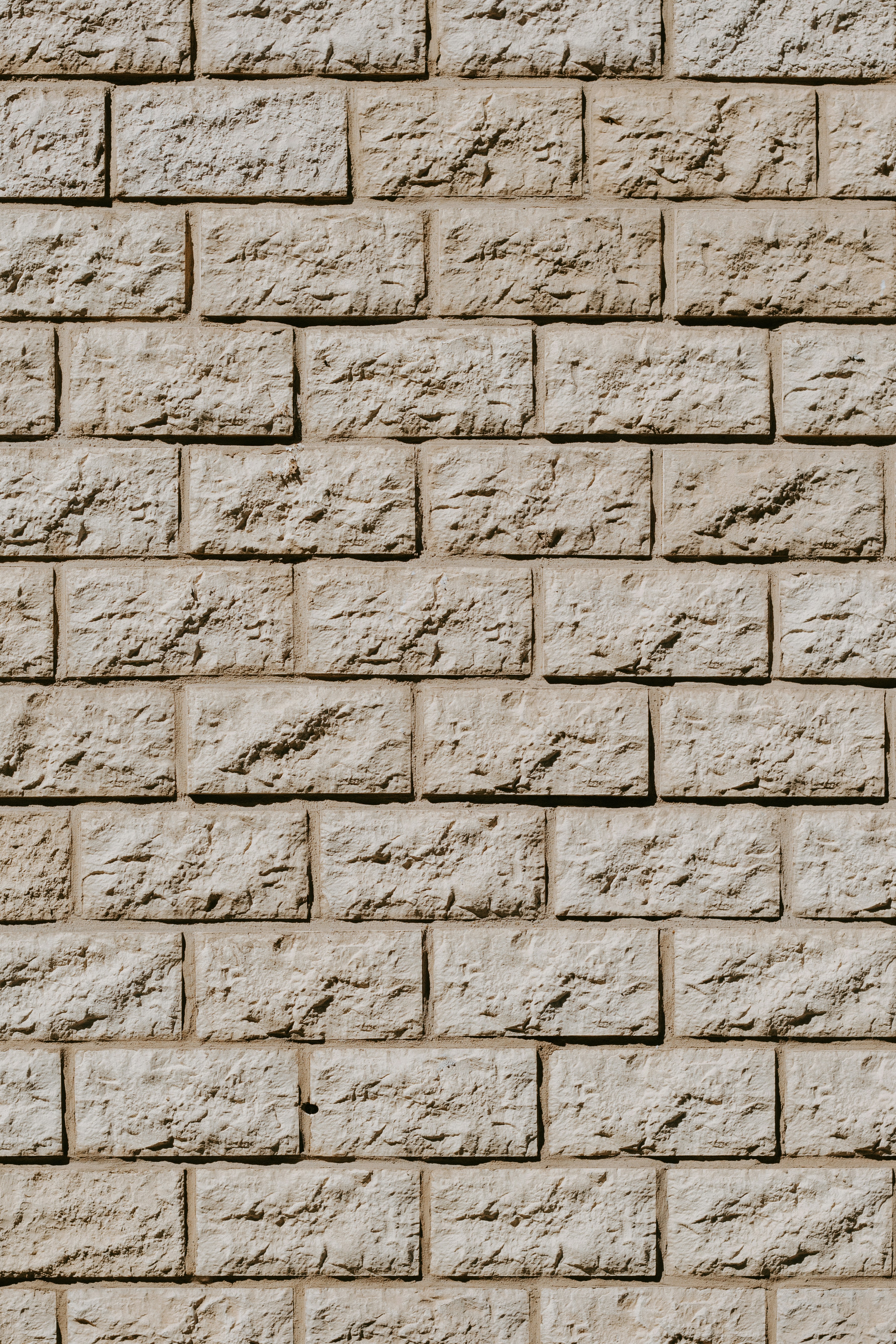 Texture Study: Sunlit Beige Brick Wall in Even Rows