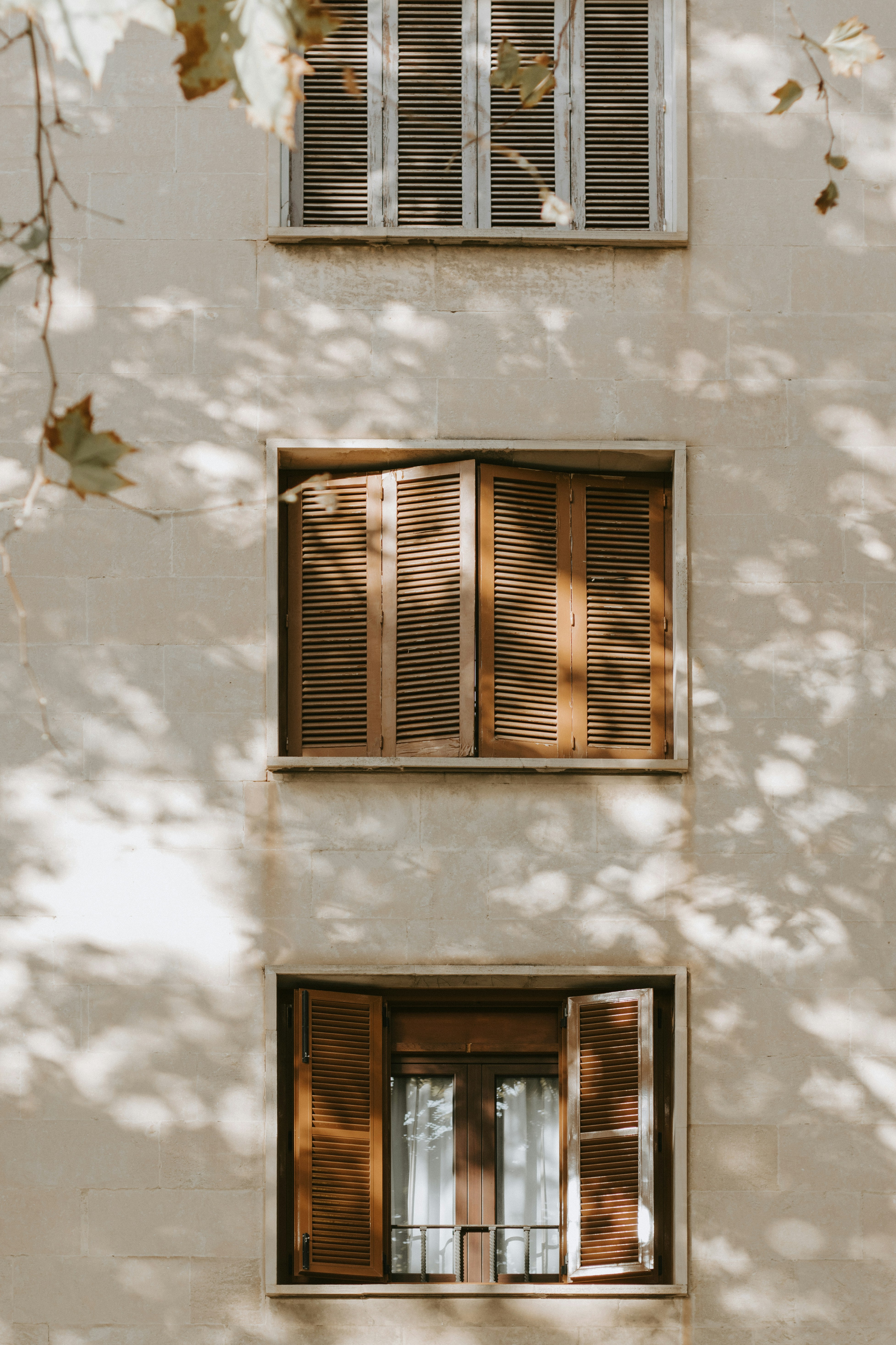 Three Shuttered Windows in Soft Sunlight