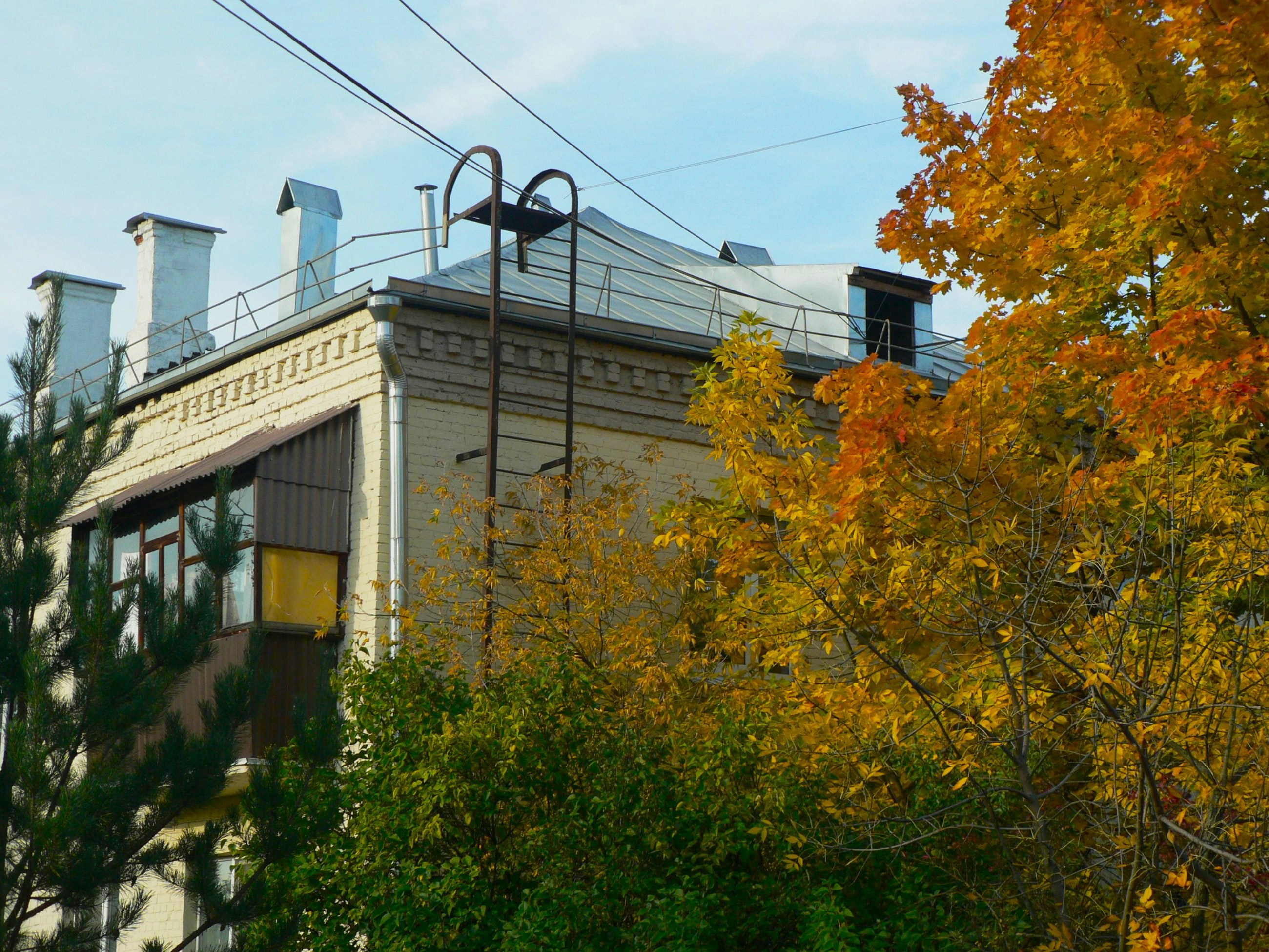 Autumn Facade: Corner Building Surrounded by Golden Trees
