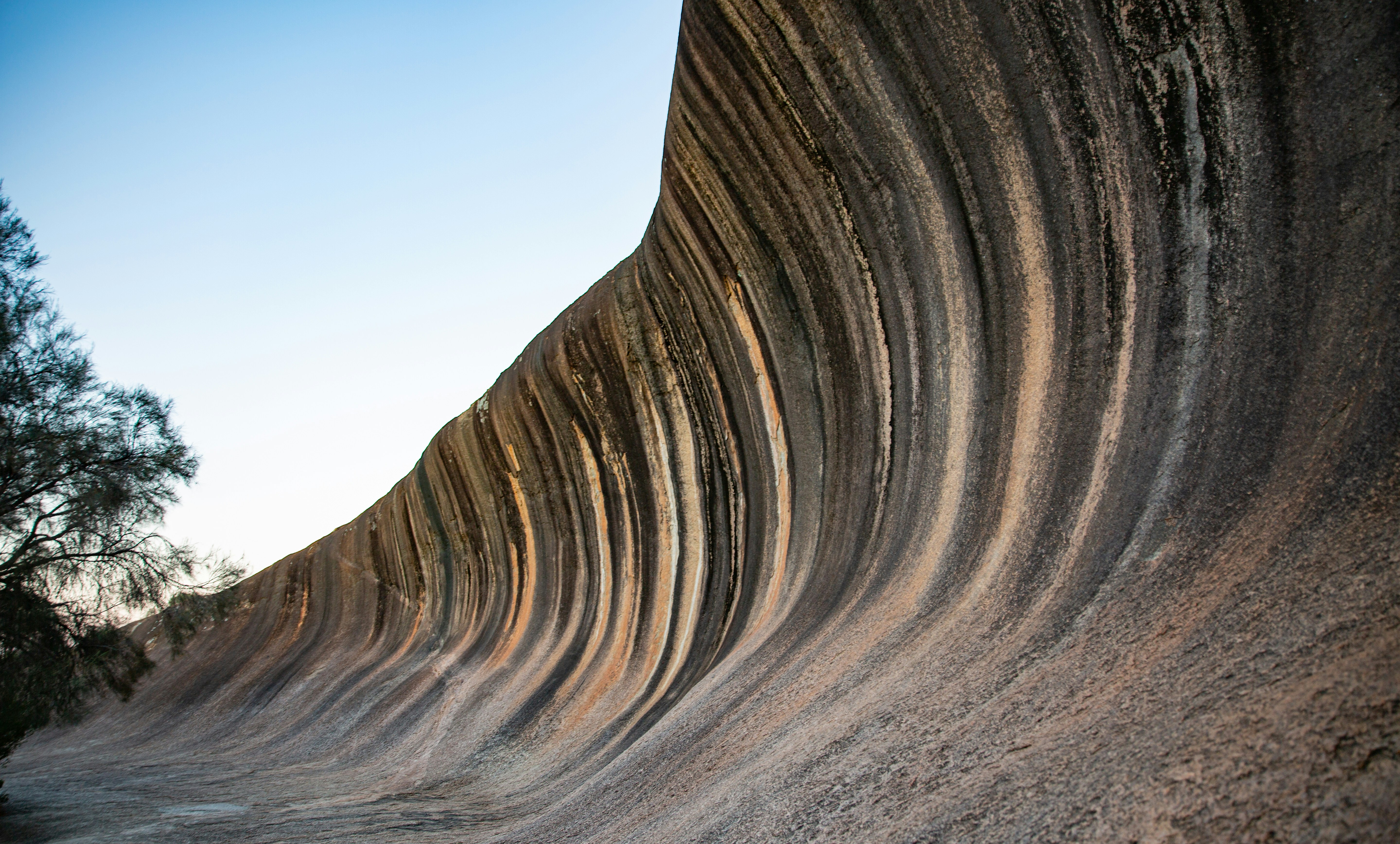 Curved Ridges: Coastal Wave of Stone