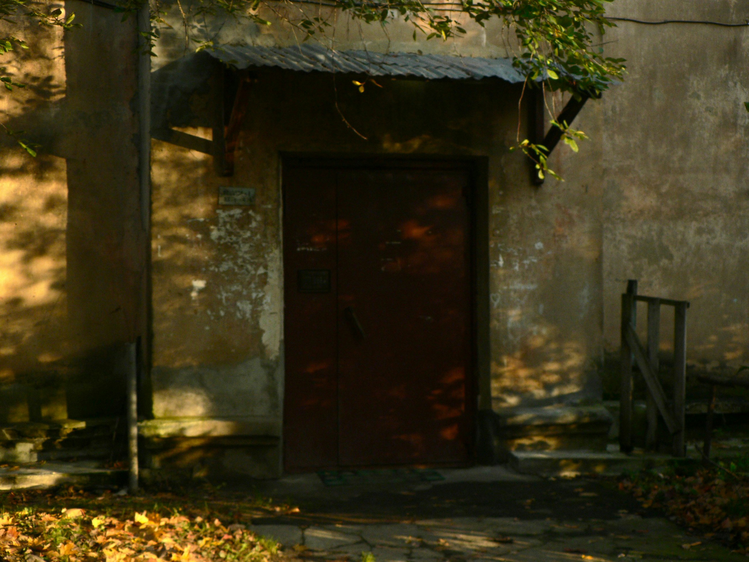 A rusty red metal door set into an old, weathered building wall, sheltered by a small corrugated metal canopy. The facade is stained and peeling, with patches of exposed brick and faded paint. Warm sunlight filters through the leaves of an overhanging tree, casting dappled shadows across the door and wall. To the right, a simple wooden gate leans against the building, while fallen autumn leaves scatter across the ground in front of the entrance, creating a quiet, melancholic atmosphere.