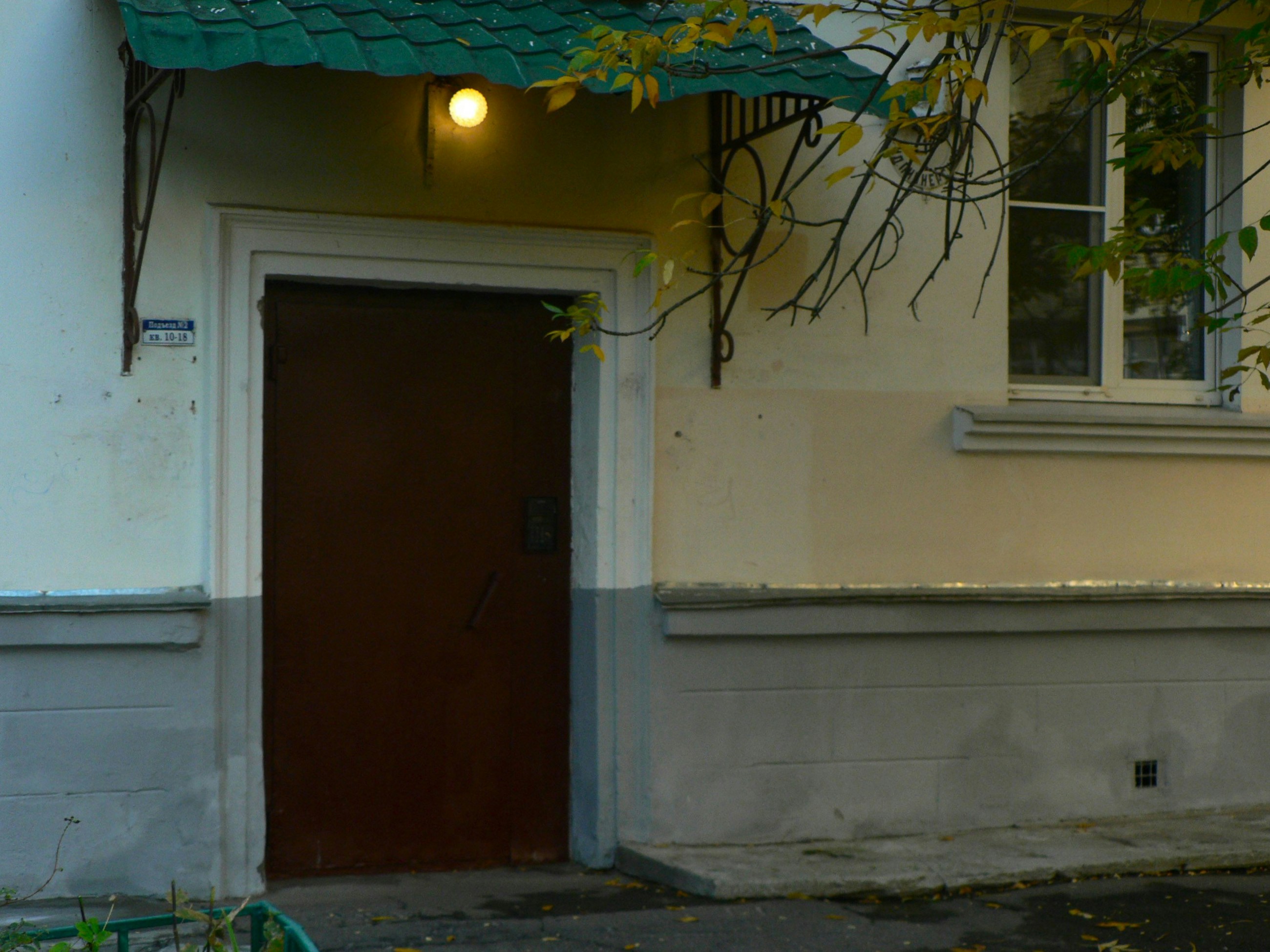 The entrance of an old residential building, featuring a dark wooden door framed by a white trim and a grey base. Above the door, a green corrugated metal canopy is supported by ornate wrought-iron brackets, with a warm yellow light bulb glowing underneath. To the left, a small blue street sign with Russian text is mounted on the wall, while a window with a white frame sits to the right. A tree branch with autumn leaves hangs across the top right corner, and fallen leaves are scattered on the ground below, creating a quiet, nostalgic mood.