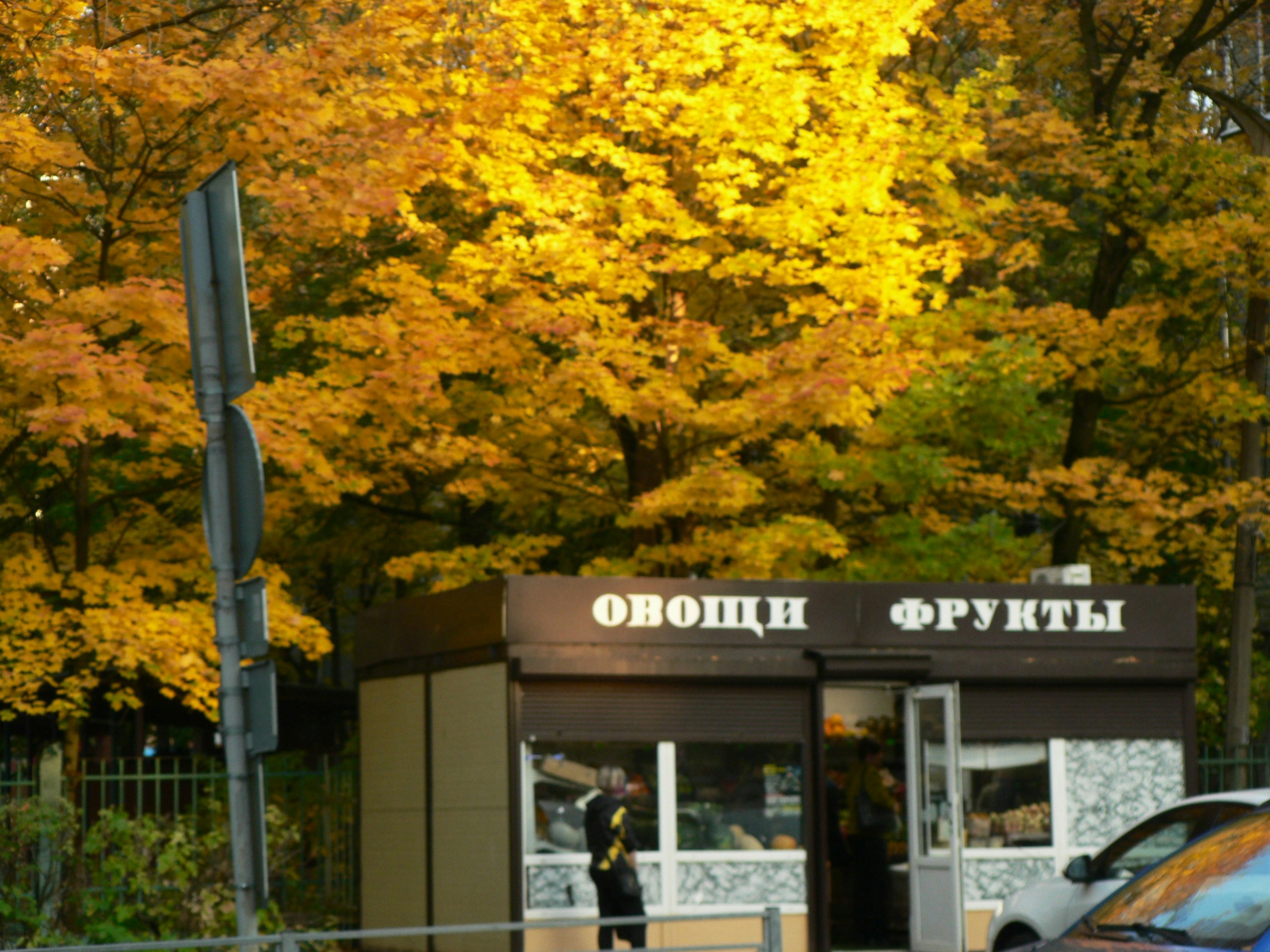 A small street kiosk selling vegetables and fruits, set against a spectacular backdrop of autumn foliage. The stand features a brown sign with the Russian words 'ОВОЩИ ФРУКТЫ' (Vegetables Fruits) in white lettering. Through the open door and windows, fresh produce is visible inside, while a person in dark clothing walks past. A grey signpost stands on the left, and a car with autumn leaves reflected on its hood sits in the lower right corner, all beneath a canopy of vibrant yellow and orange trees.