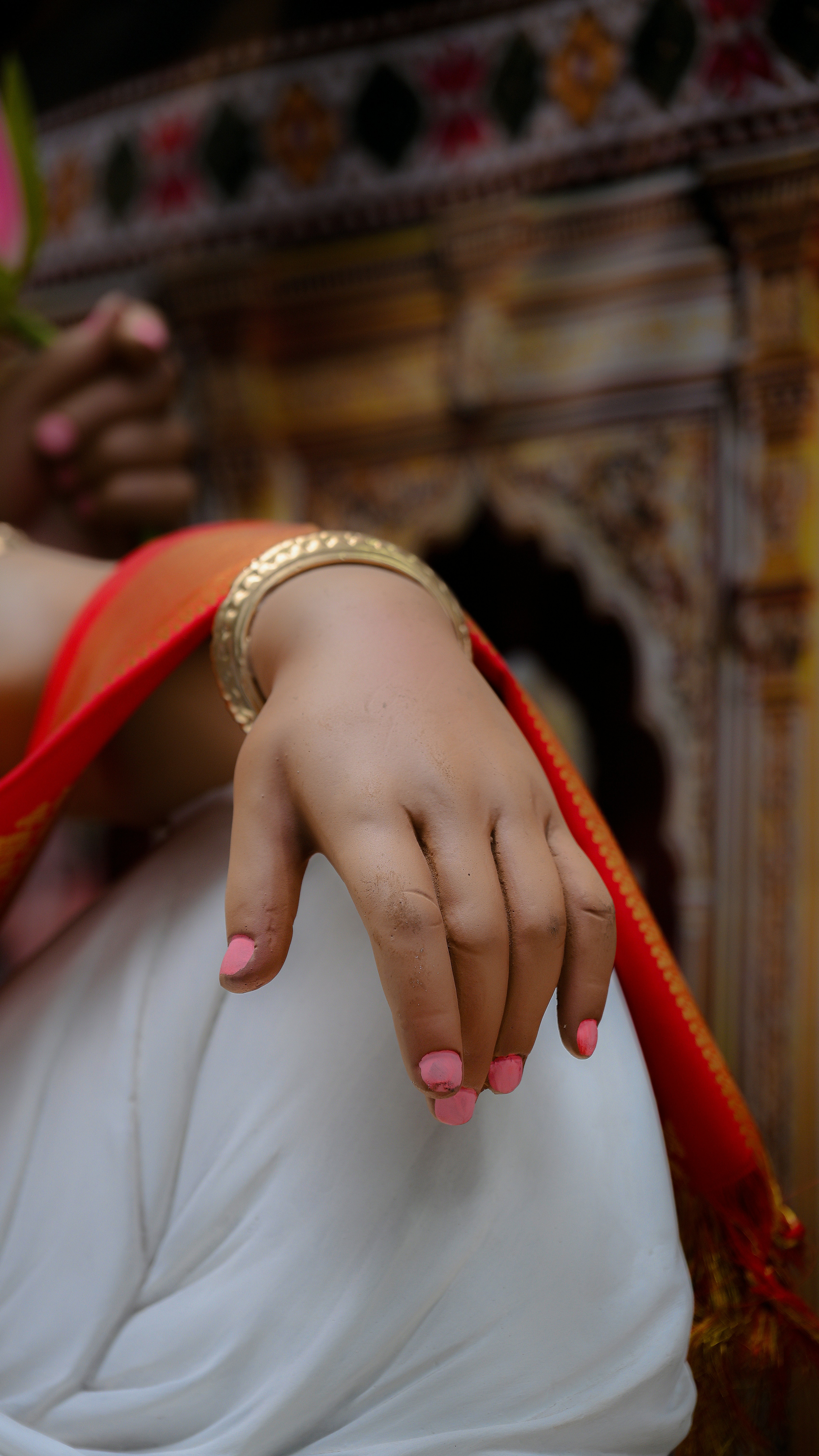 Graceful Gesture: A Hand in Traditional Attire