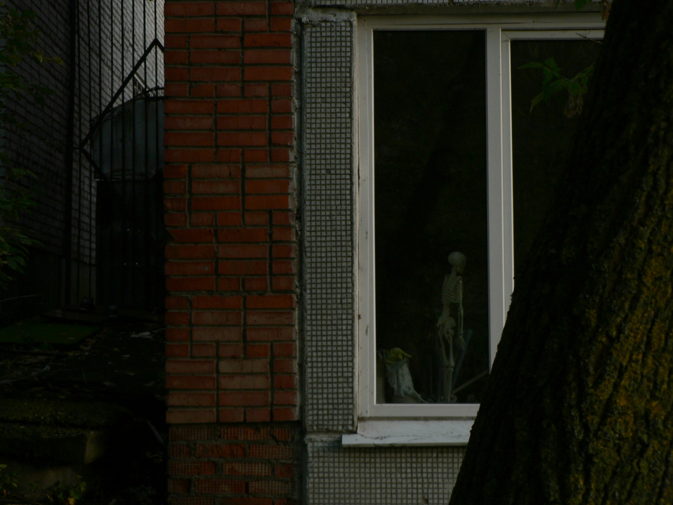 Windowed Skeleton in the brick alcove