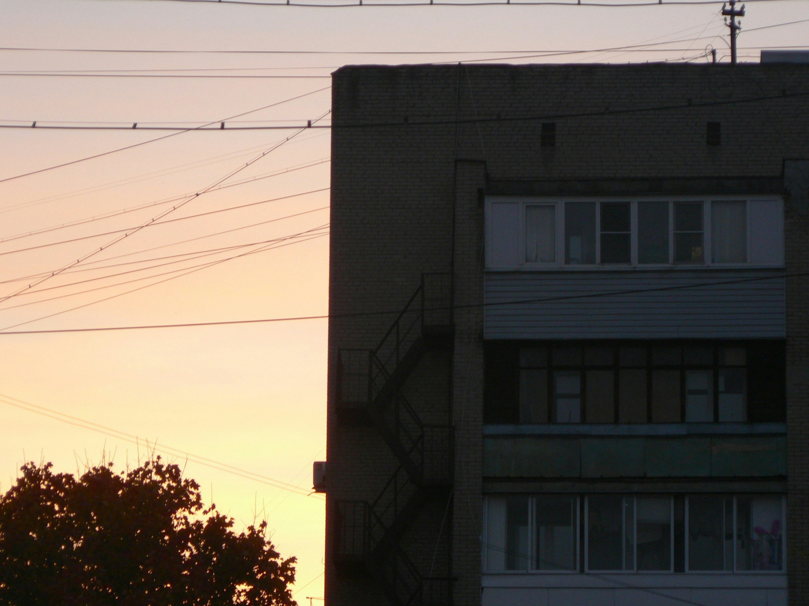 A dark, brick building stands in sharp silhouette against a warm, glowing sky at sunset. The building's facade features rows of wide windows and a metal fire escape staircase clinging to its side. A dense web of thin power lines crisscrosses the pale orange and peach sky, creating a striking geometric pattern. In the lower left corner, the dark silhouette of a leafy tree completes the composition, giving the scene a quiet, industrial, end-of-day atmosphere.