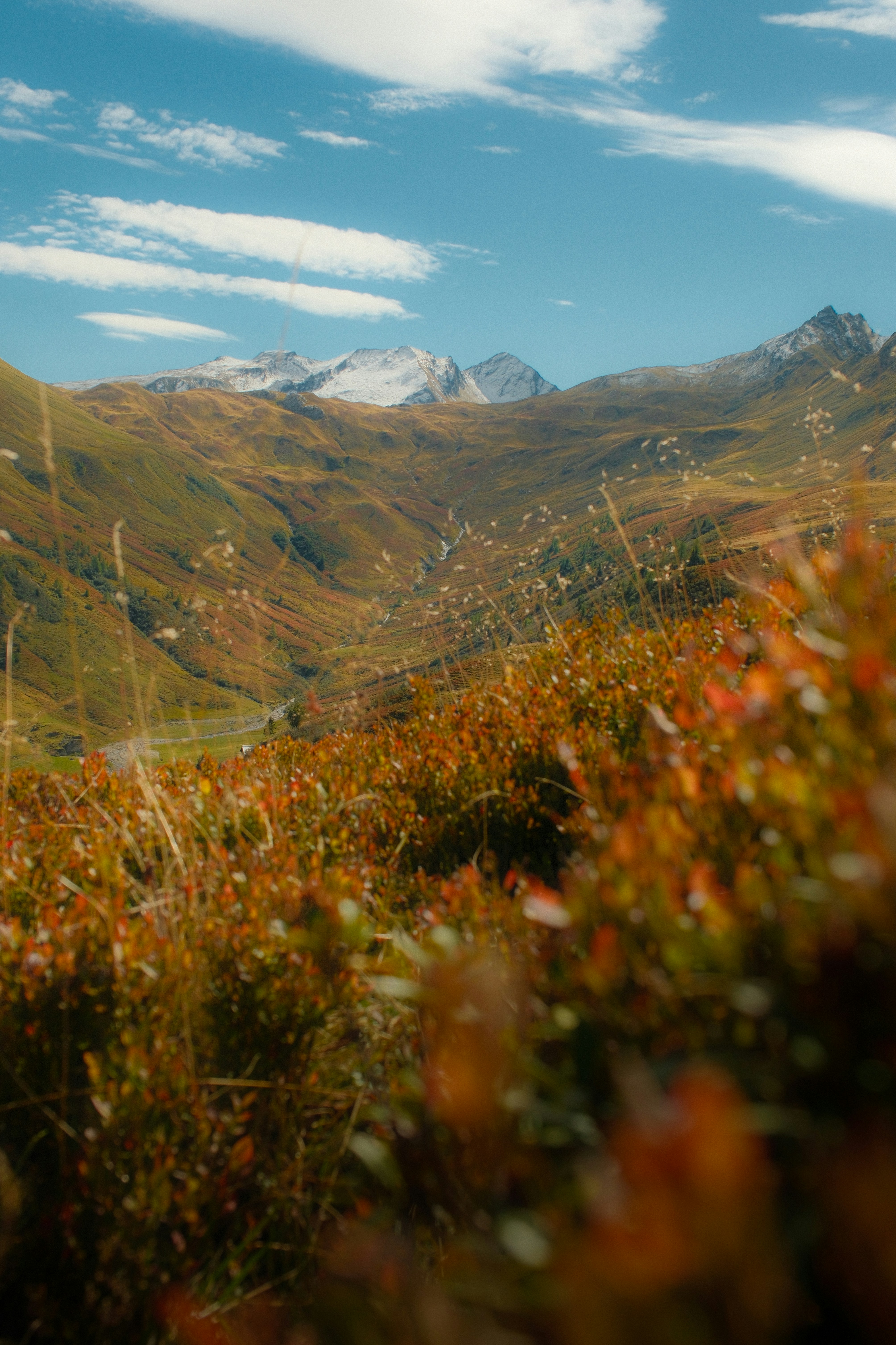 Autumn Alpine Ridge in Golden Light