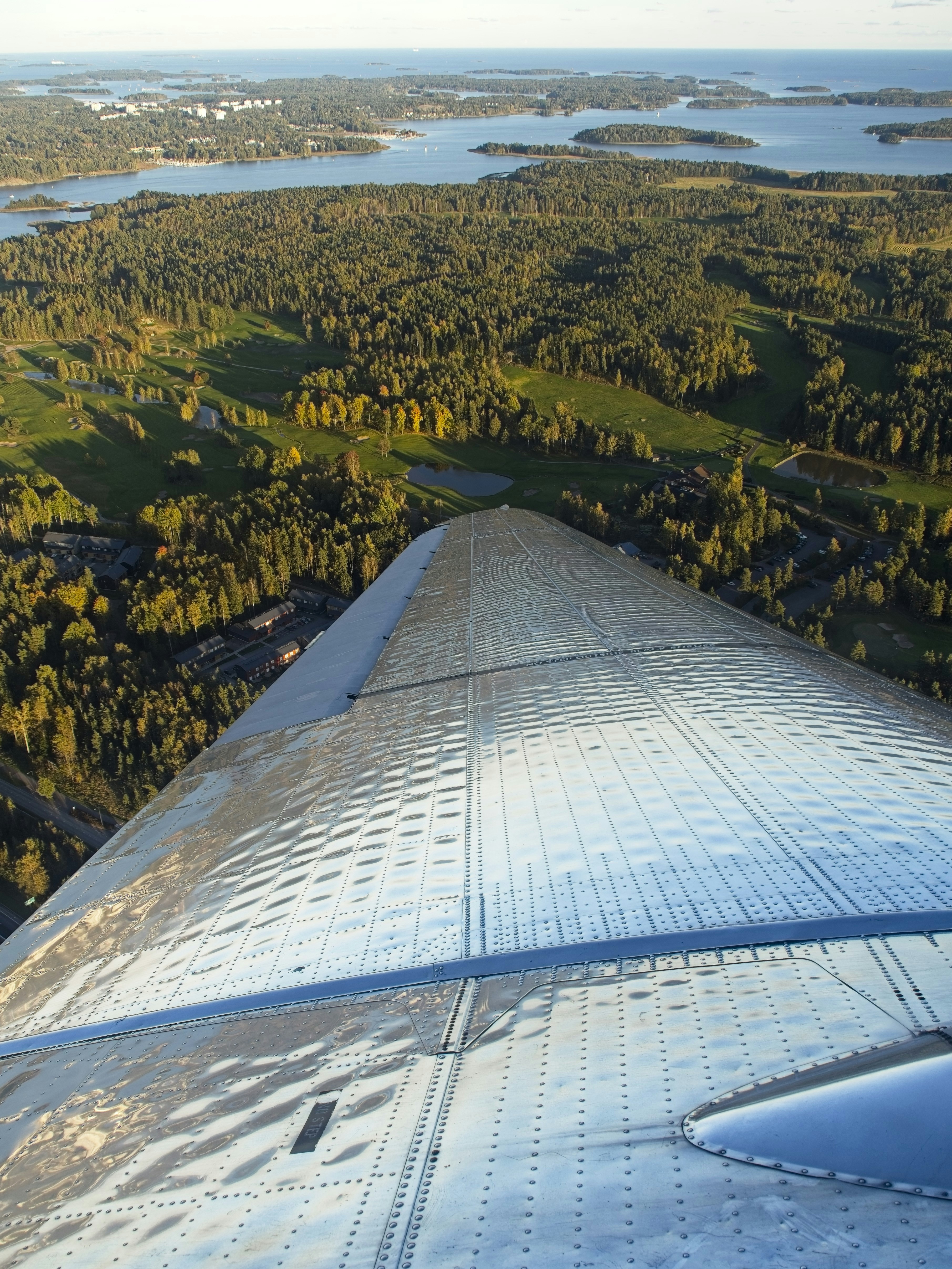 Wing Over Green Canopy: Aerial View from the Metallic Wing