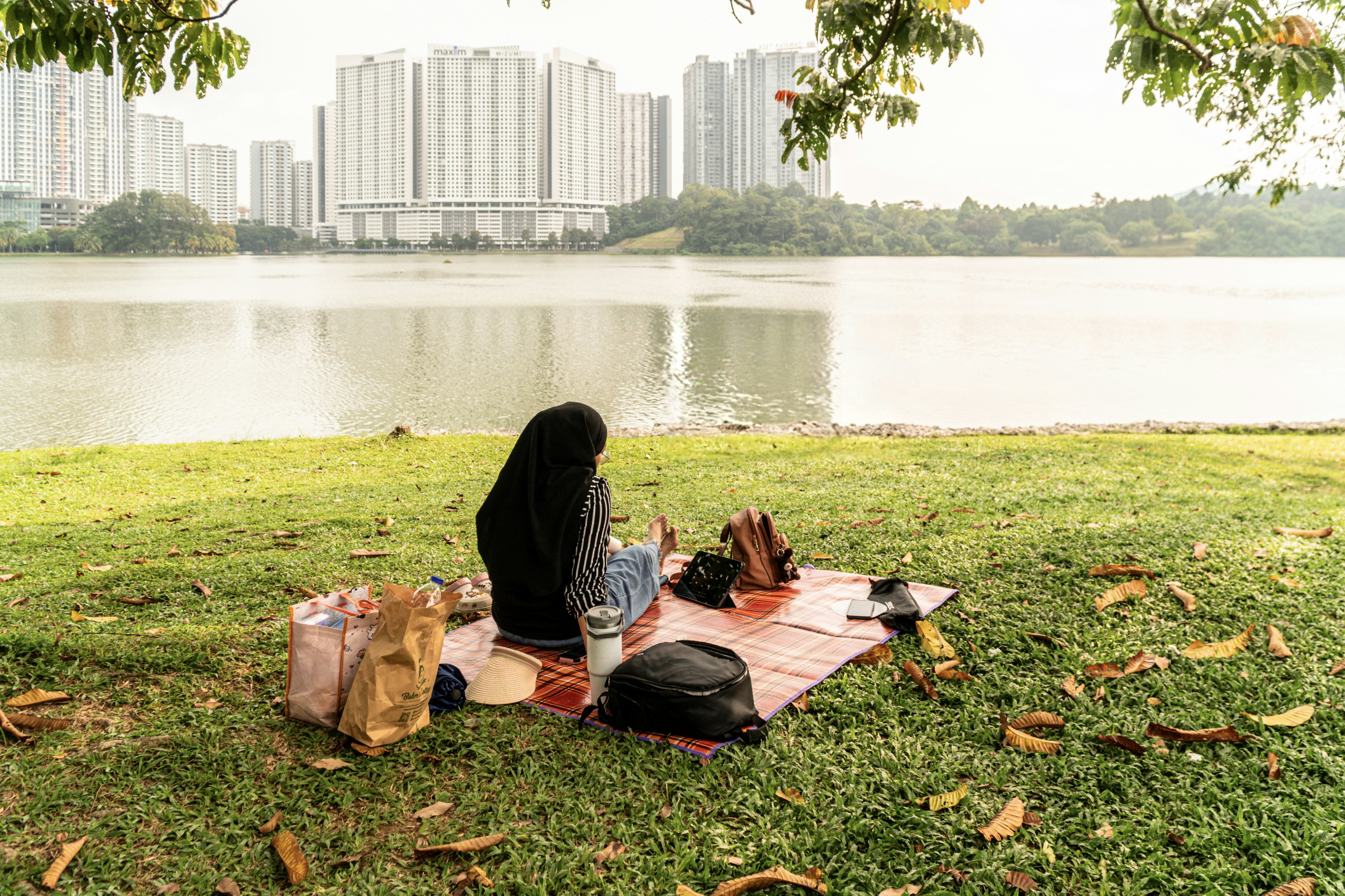 Quiet Riverside Picnic under City Veil