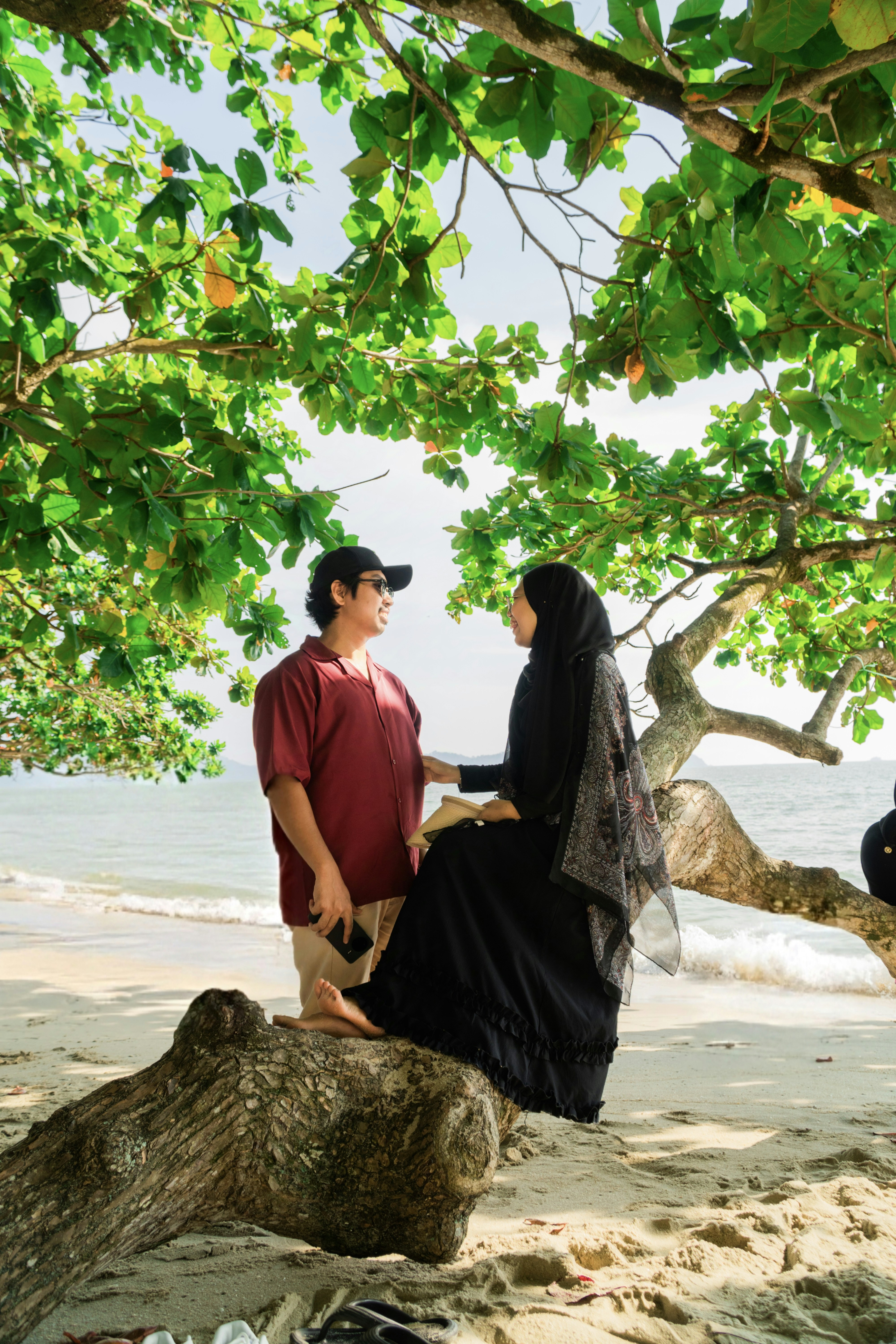 Coastal Conversation Beneath a Canopy of Green