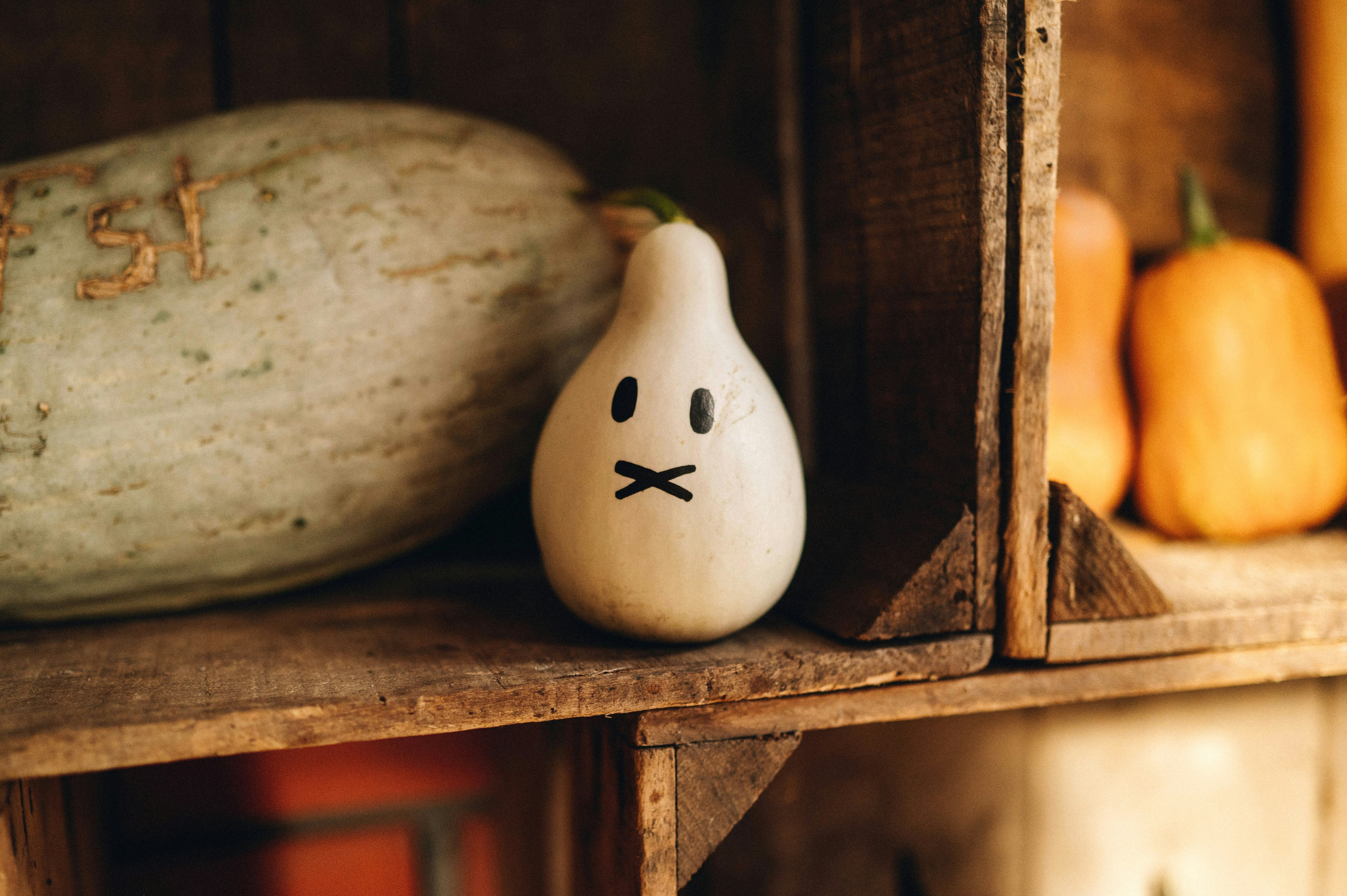 The Quiet Gourd with a Face in a Weathered Wooden Shelf
