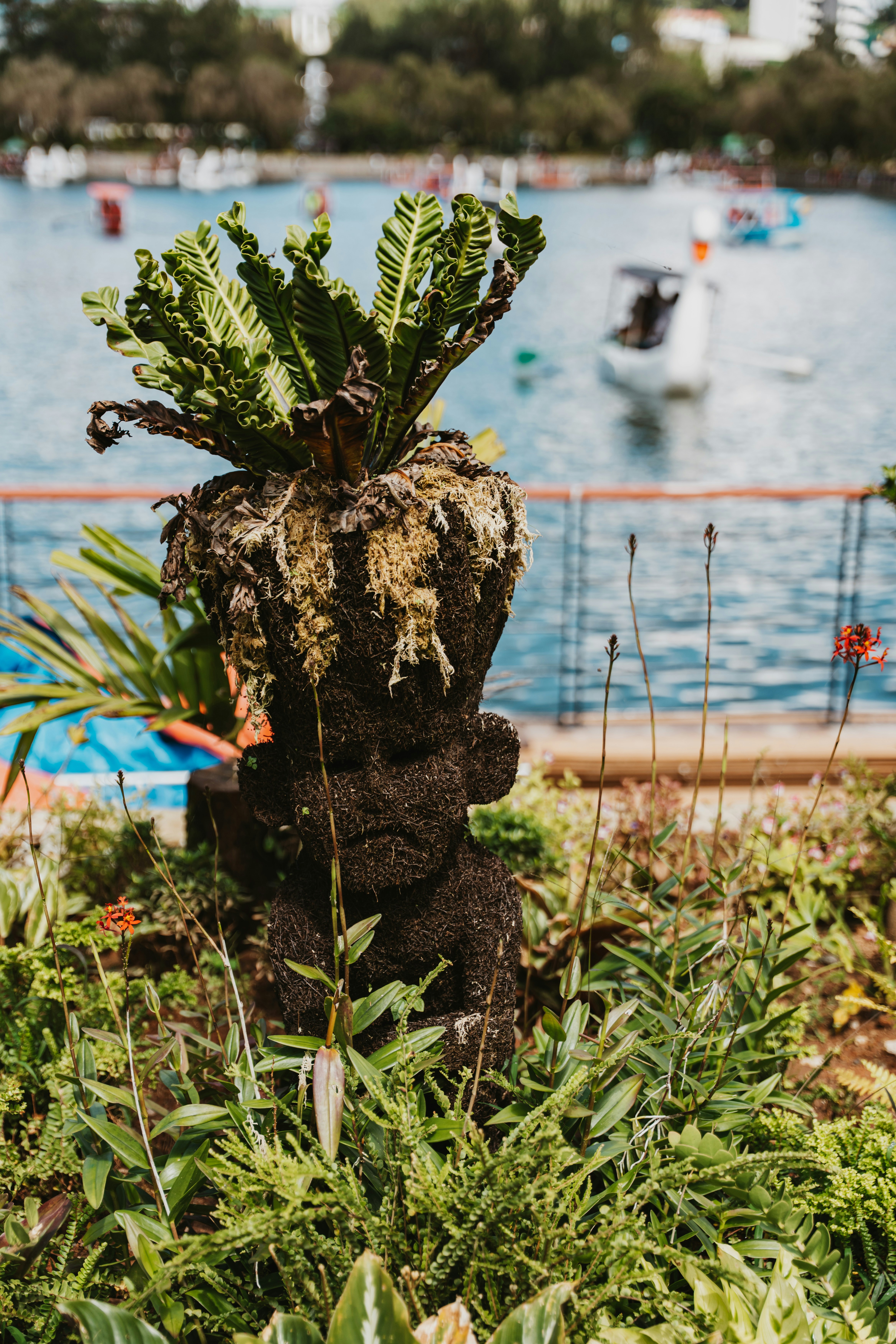 Urban Garden Sentinel: A Fern Crowned Tufa by the Water