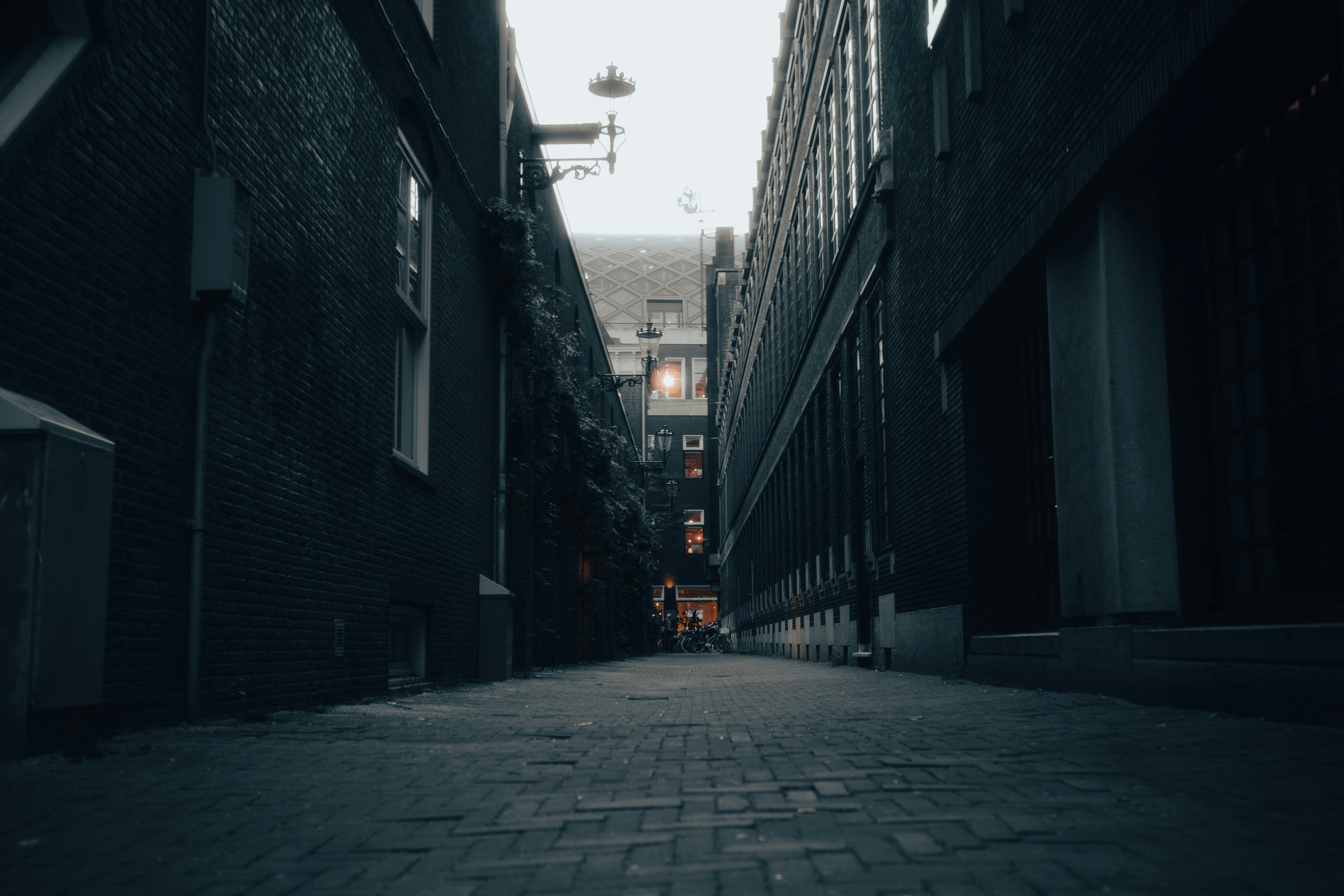 Narrow Lane to the Evening Glow