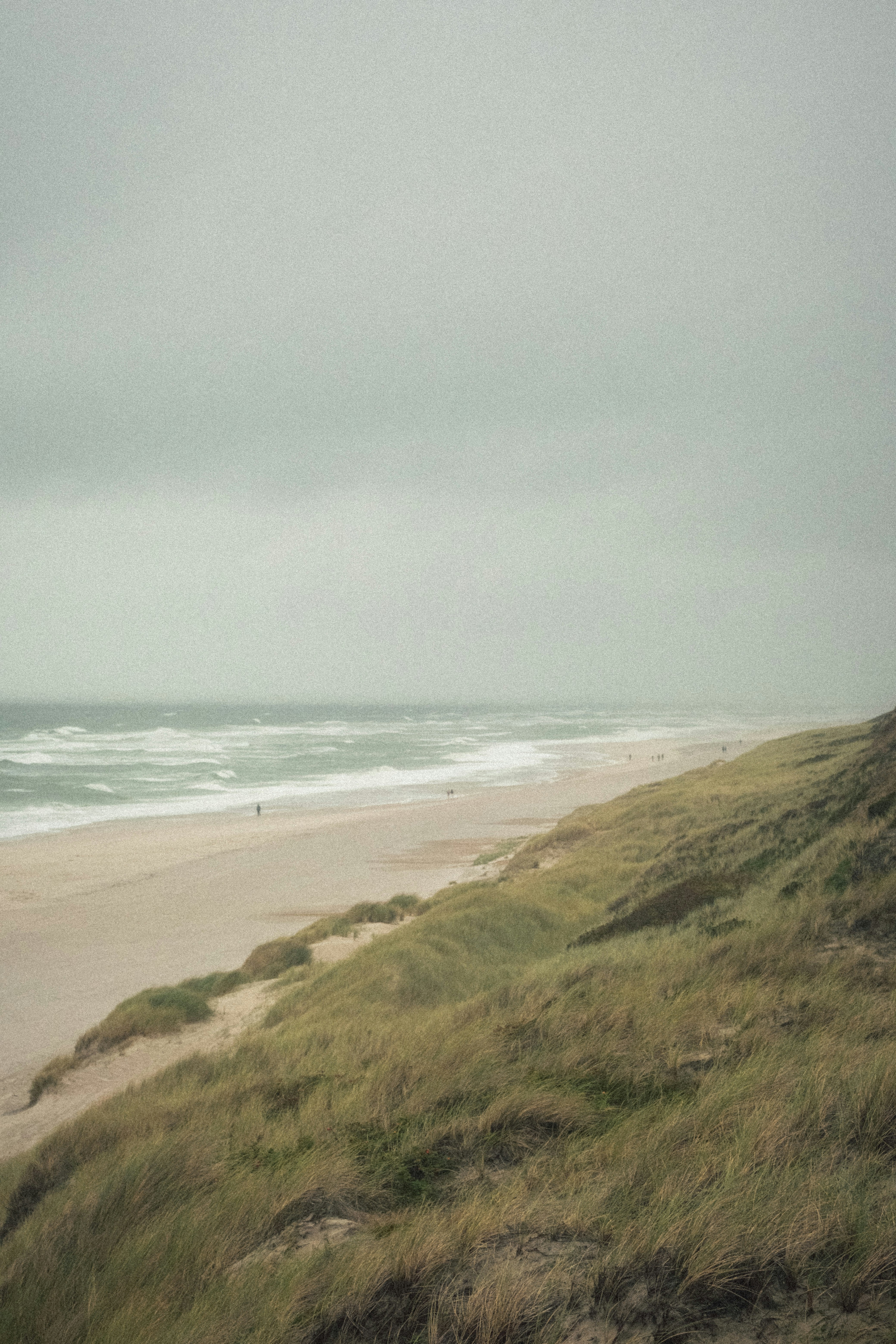 Graceful Dunes, Quiet Shoreline