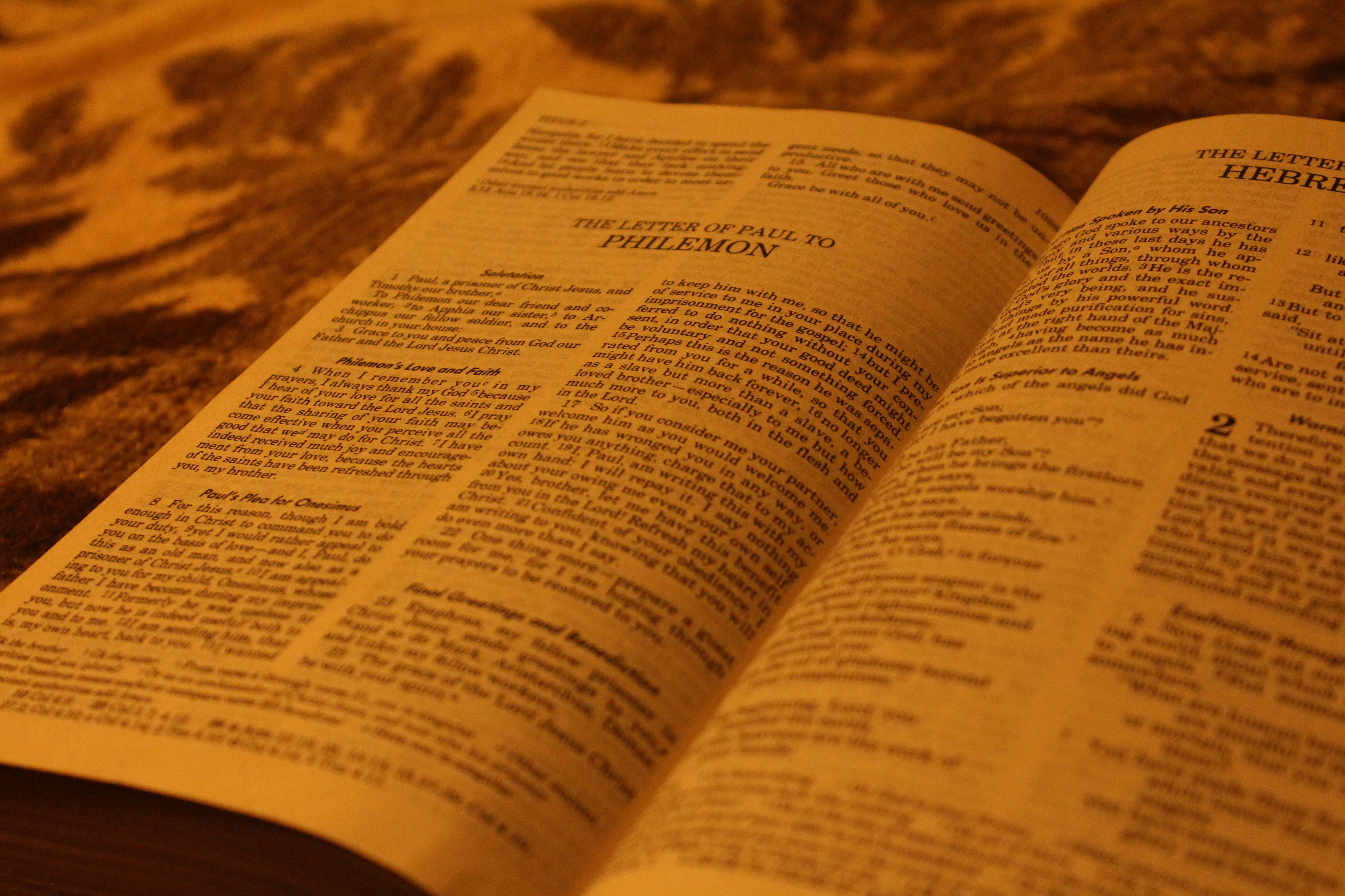 Open book bathed in warm amber light with text pages visible; a close-up still capturing the paper texture and printed columns.