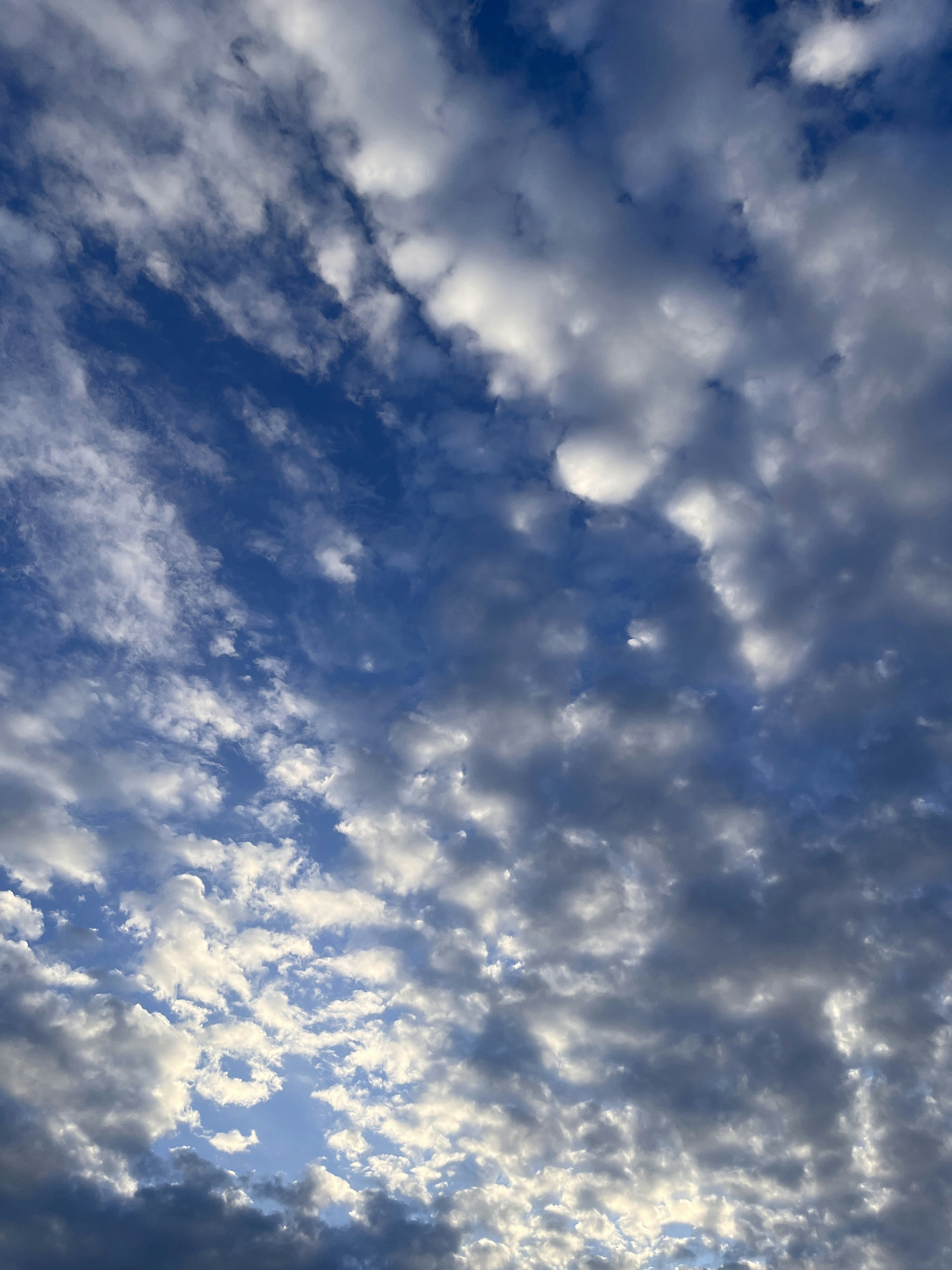 Wide sky with layered white clouds against a deep blue backdrop, emphasizing drifting formations and natural light.