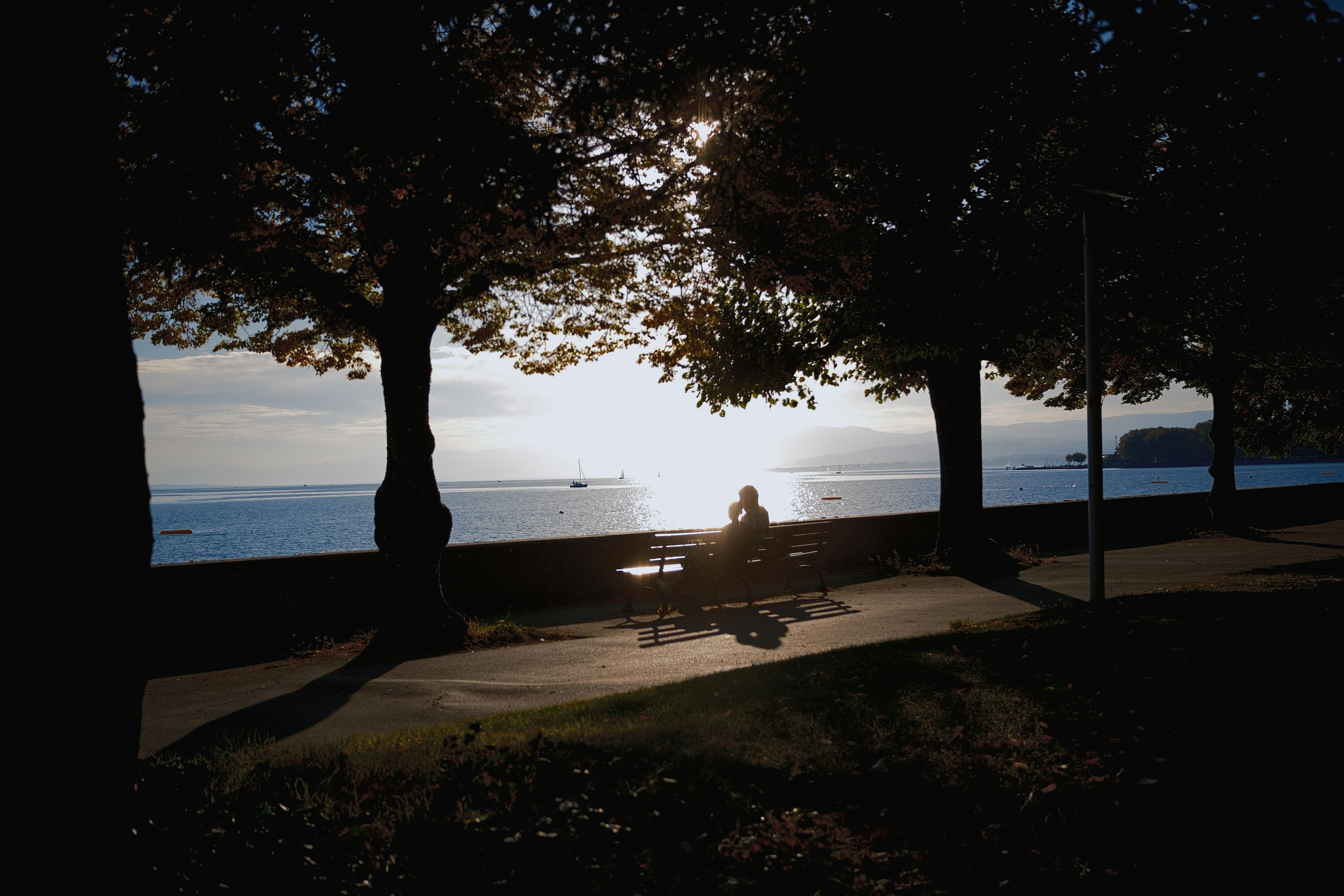 Sunlit Silhouette: A Quiet Moment by the Seaside Park