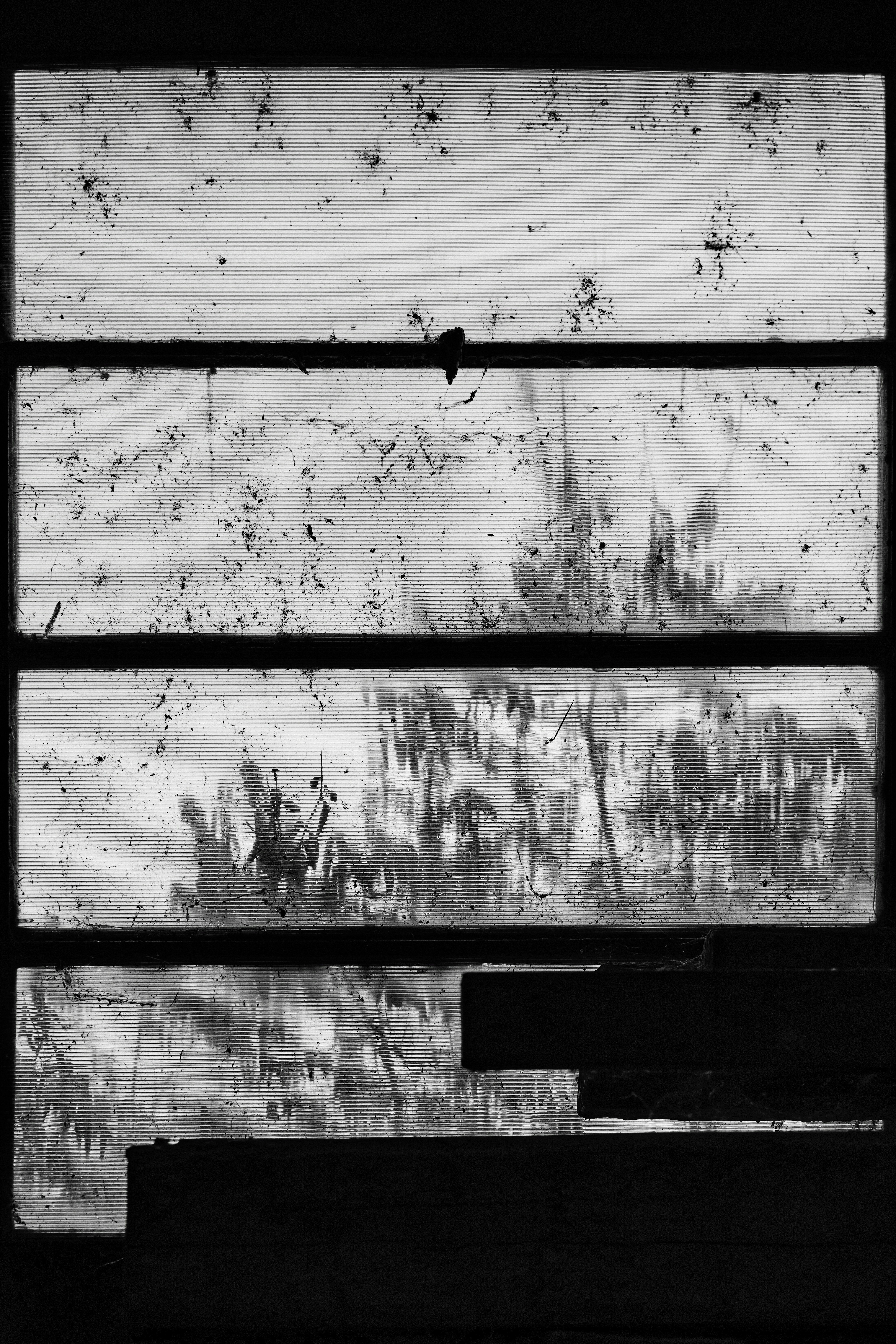 A black-and-white scene of a weathered window with horizontal slats and dirt, revealing a blurred exterior with plants and trees beyond; the frame suggests an aged, industrial interior.