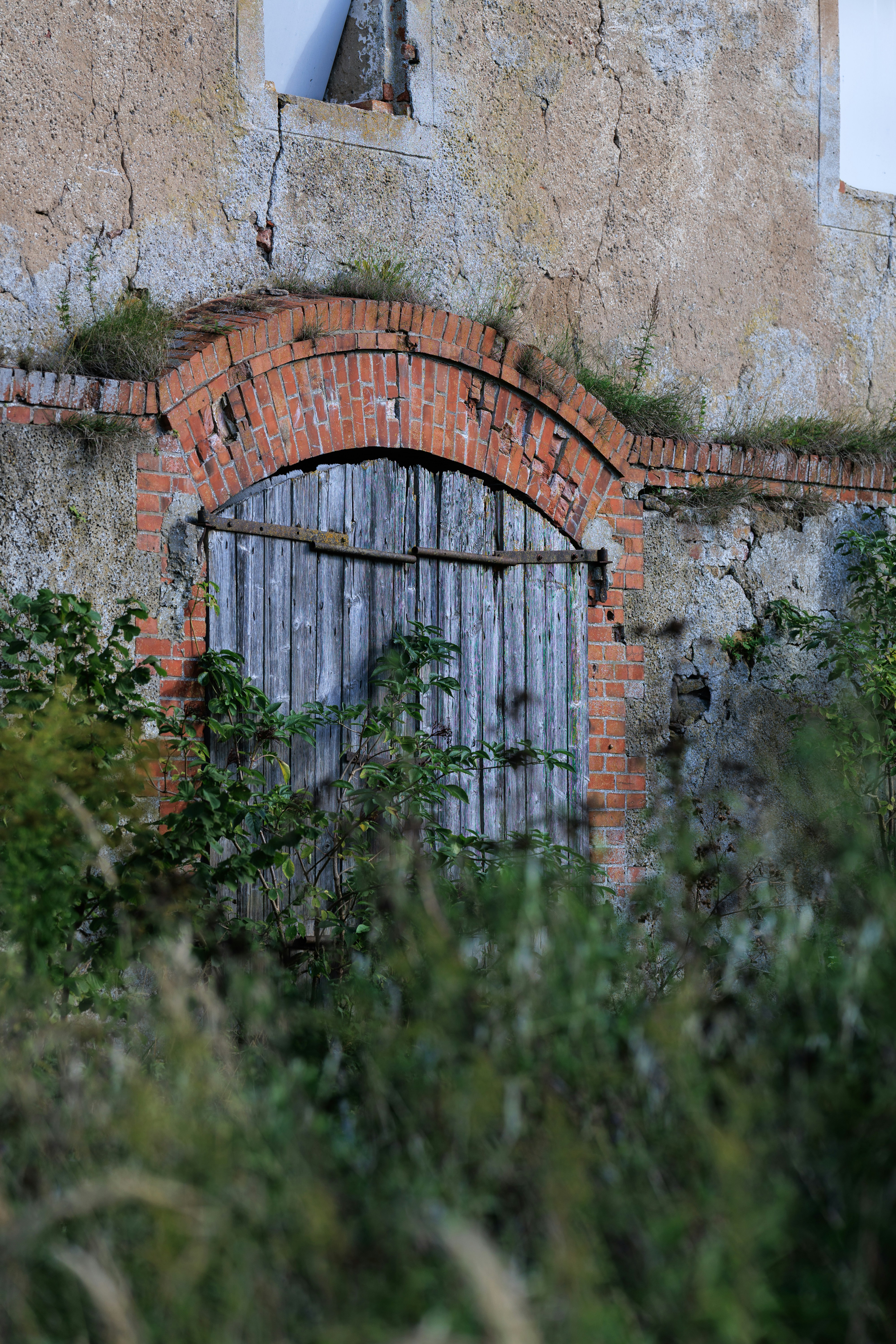 Overgrown Archway in Ruined Brick Wall