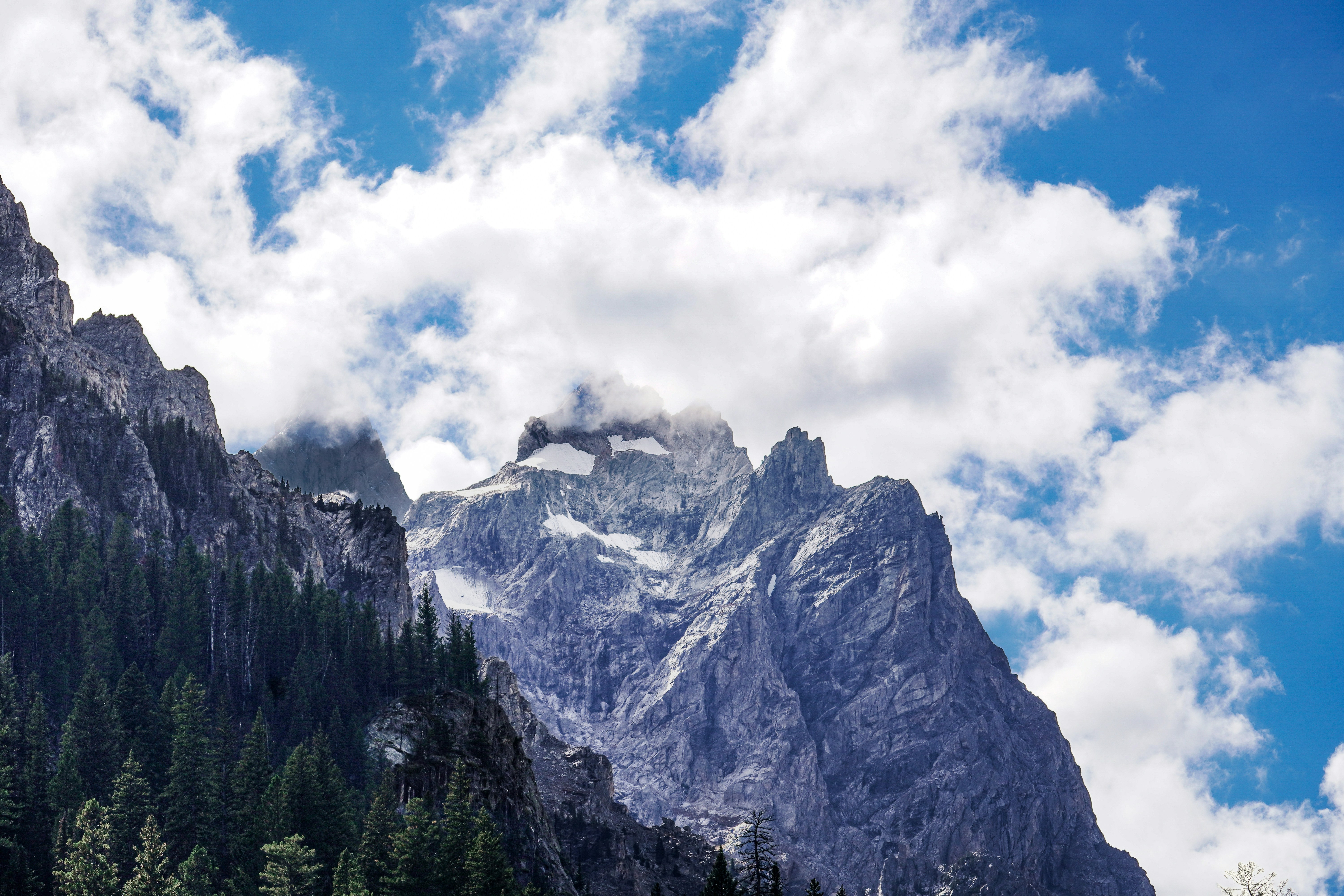 Rugged Peak Piercing a Sky of Cloud and Pine