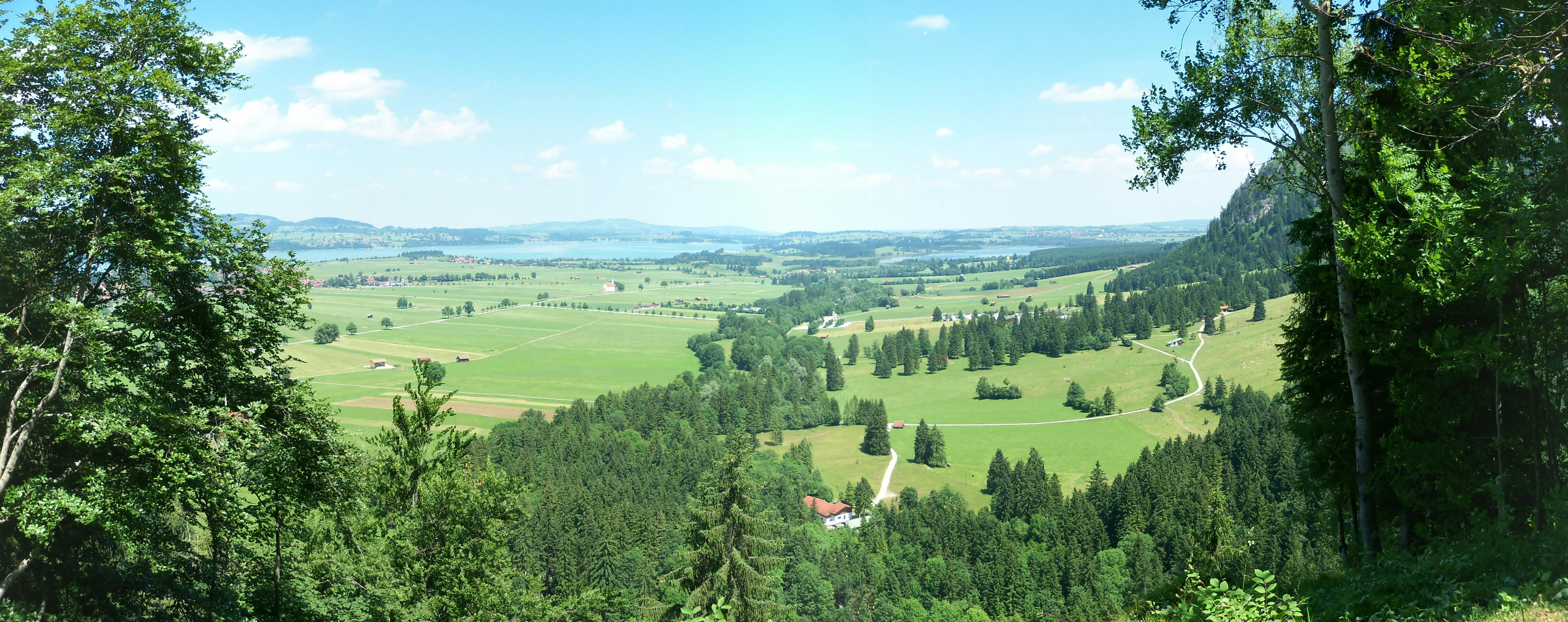 Patchwork Valley: A Sunlit Basin Between Forested Ridges