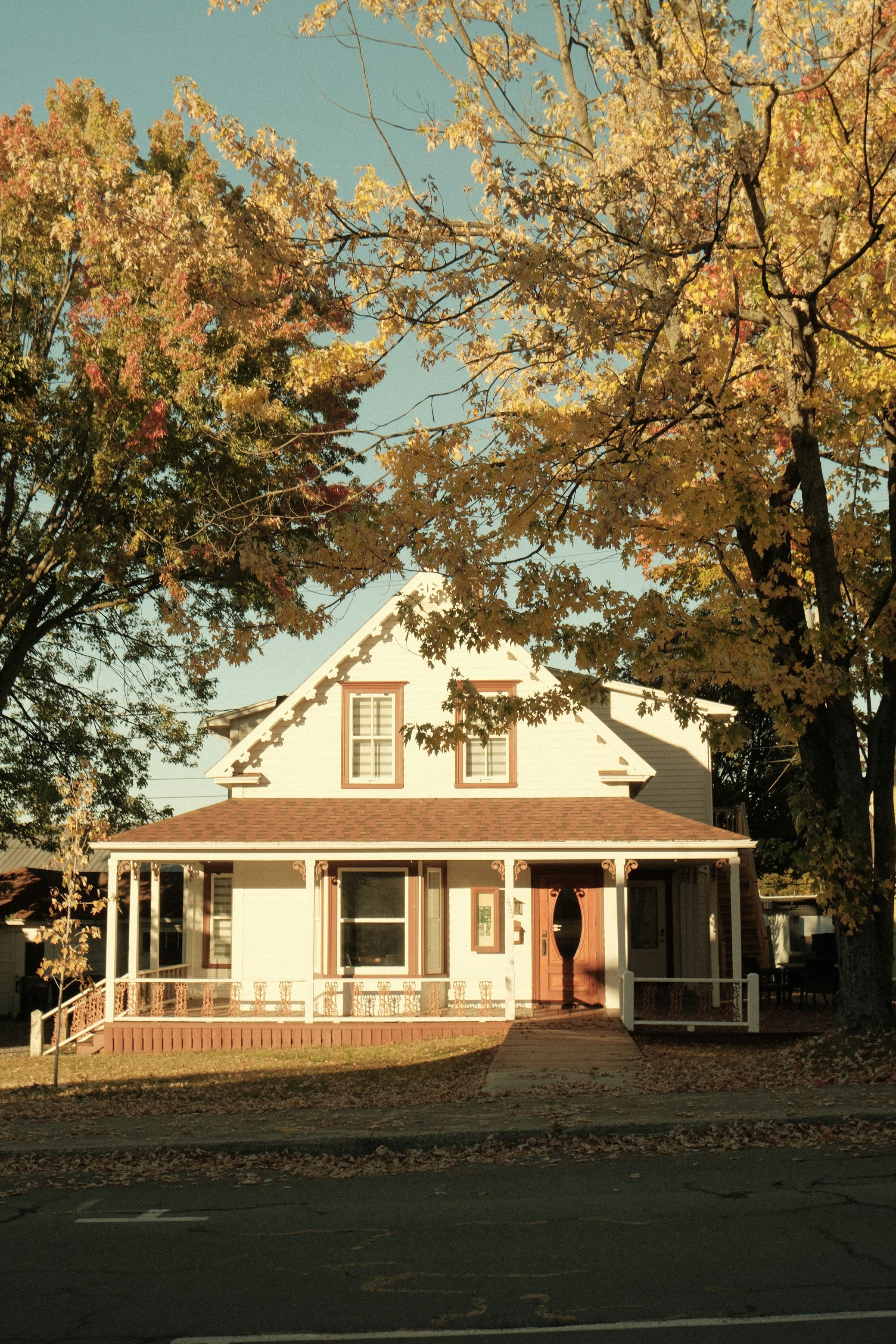 Autumn-Flecked Facade: A Quiet Suburban House Beneath Amber Canopy