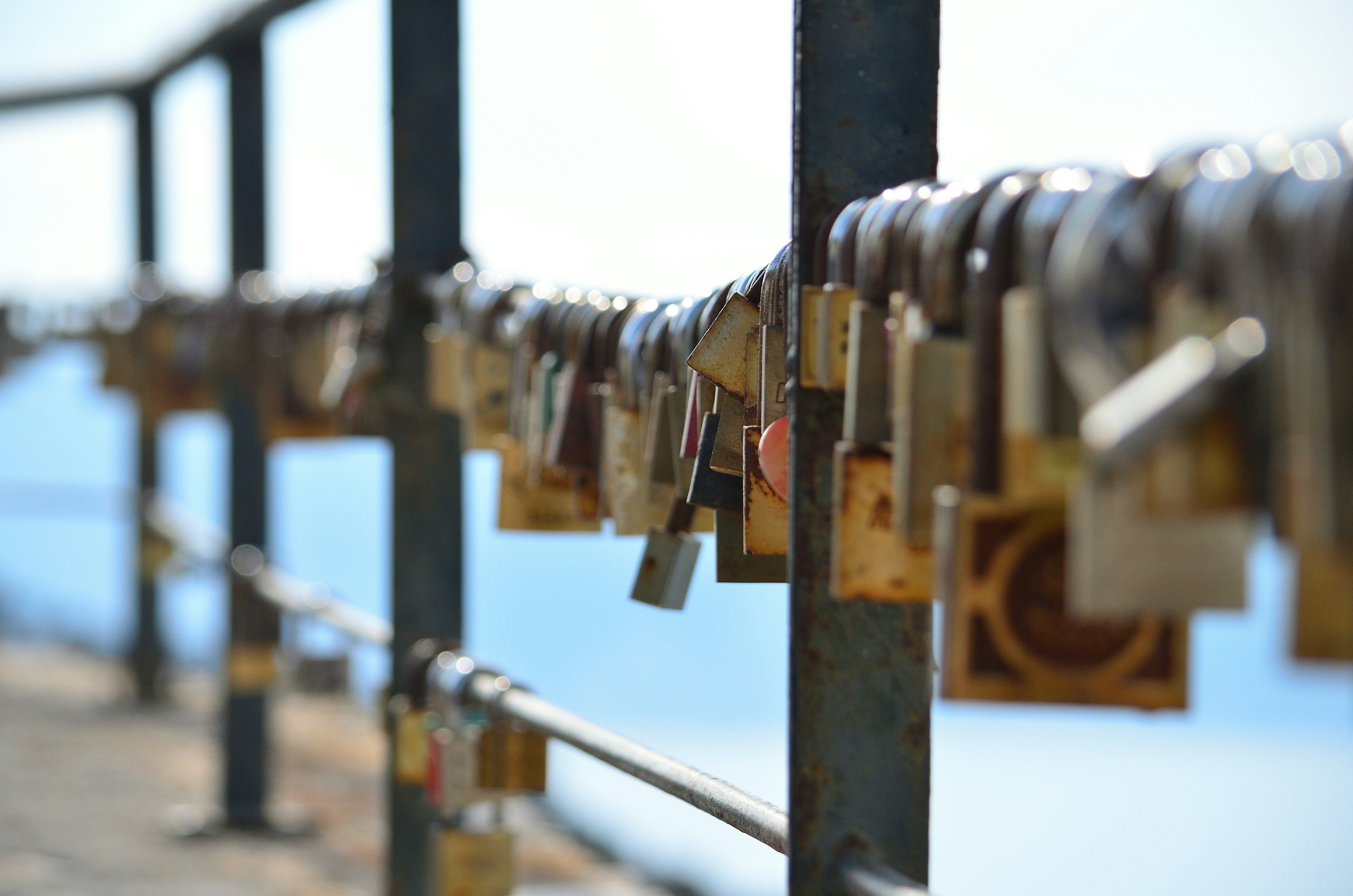 Locks in the Breeze: A Sea-Edge Railing Studded with Padlocked Promises
