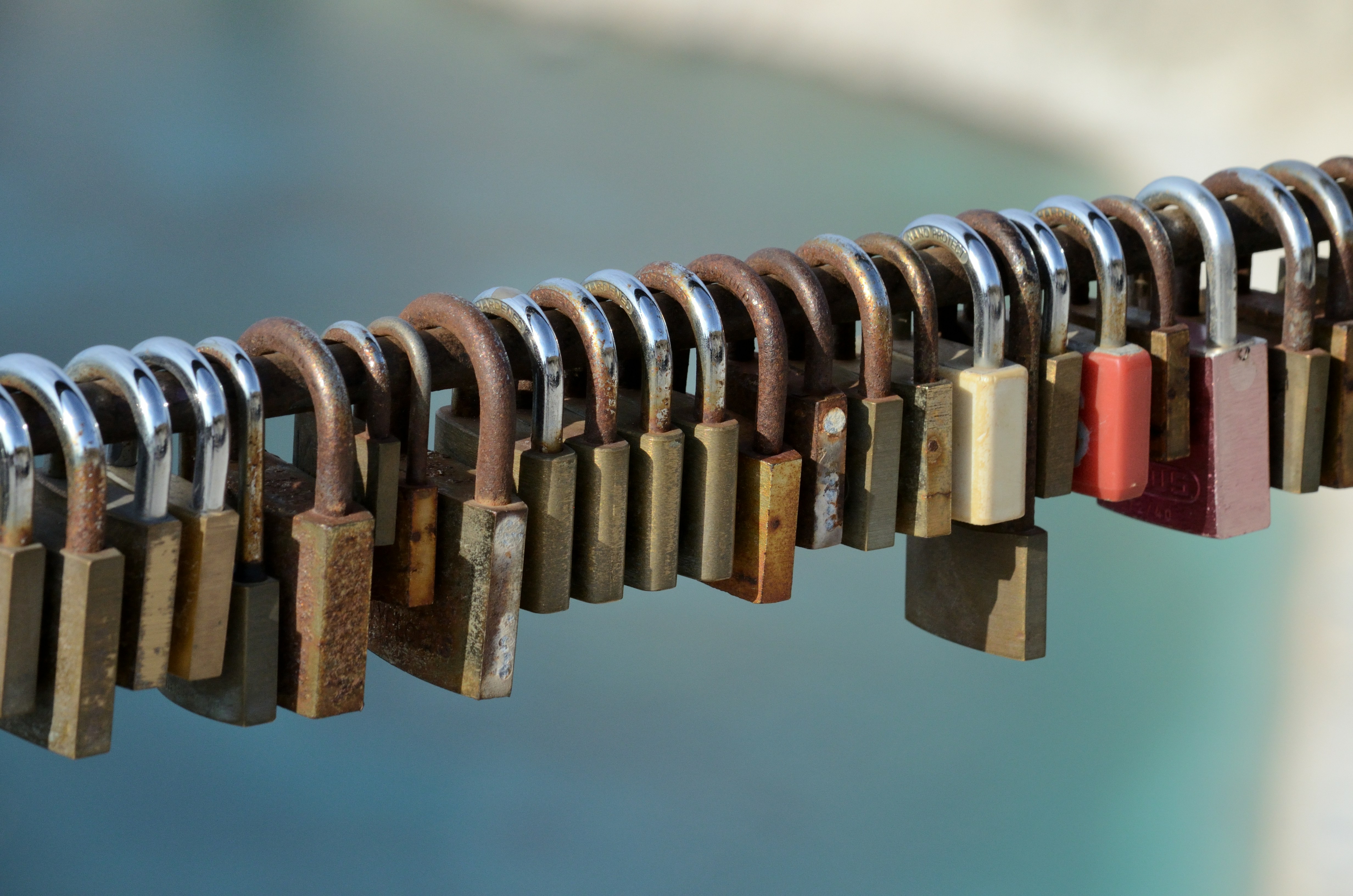 Locks of Commitment: A Row of Rusted Padlocks on a Curved Cable