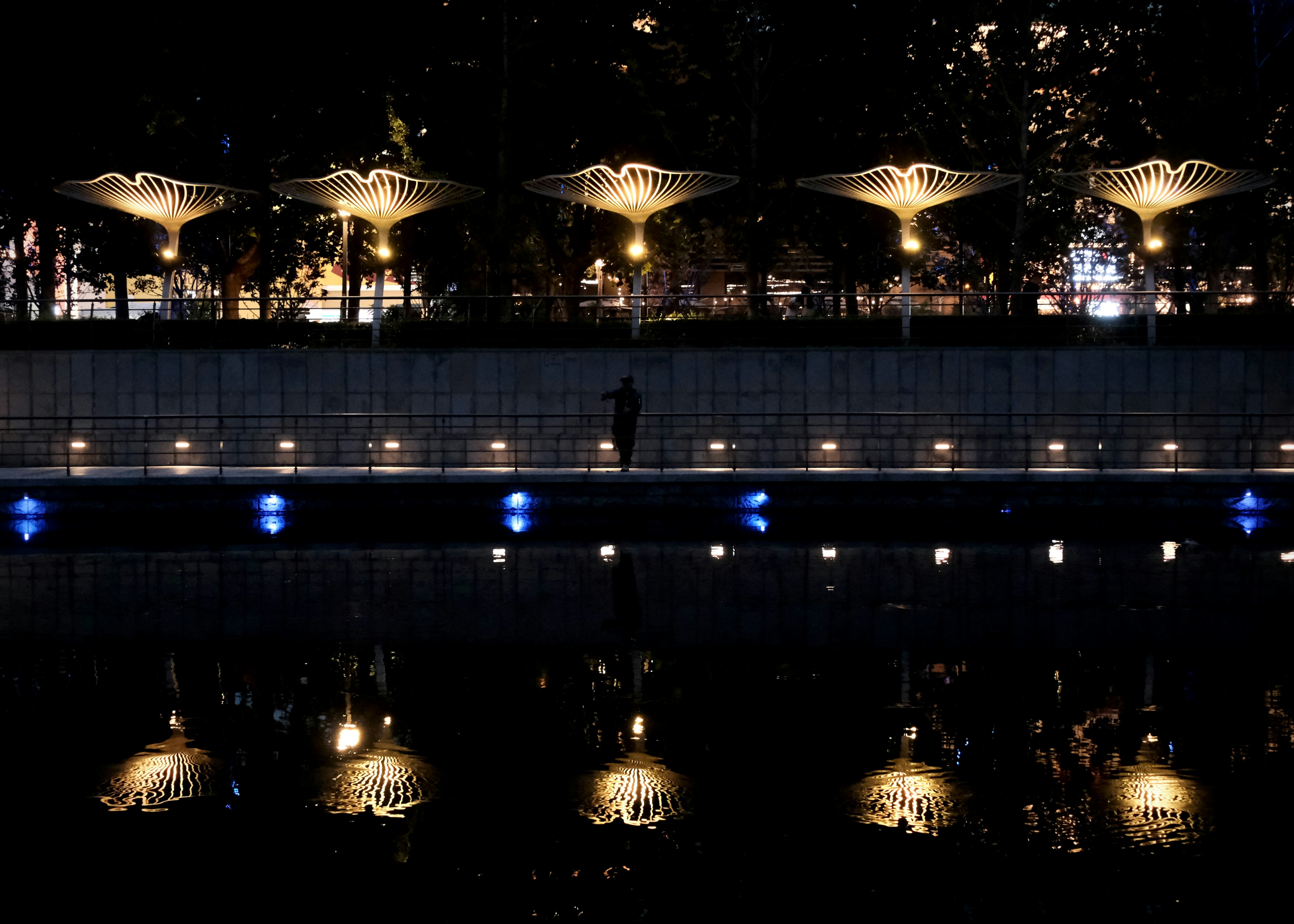 Moonlit Lantern Row: Silent Observer by the Water