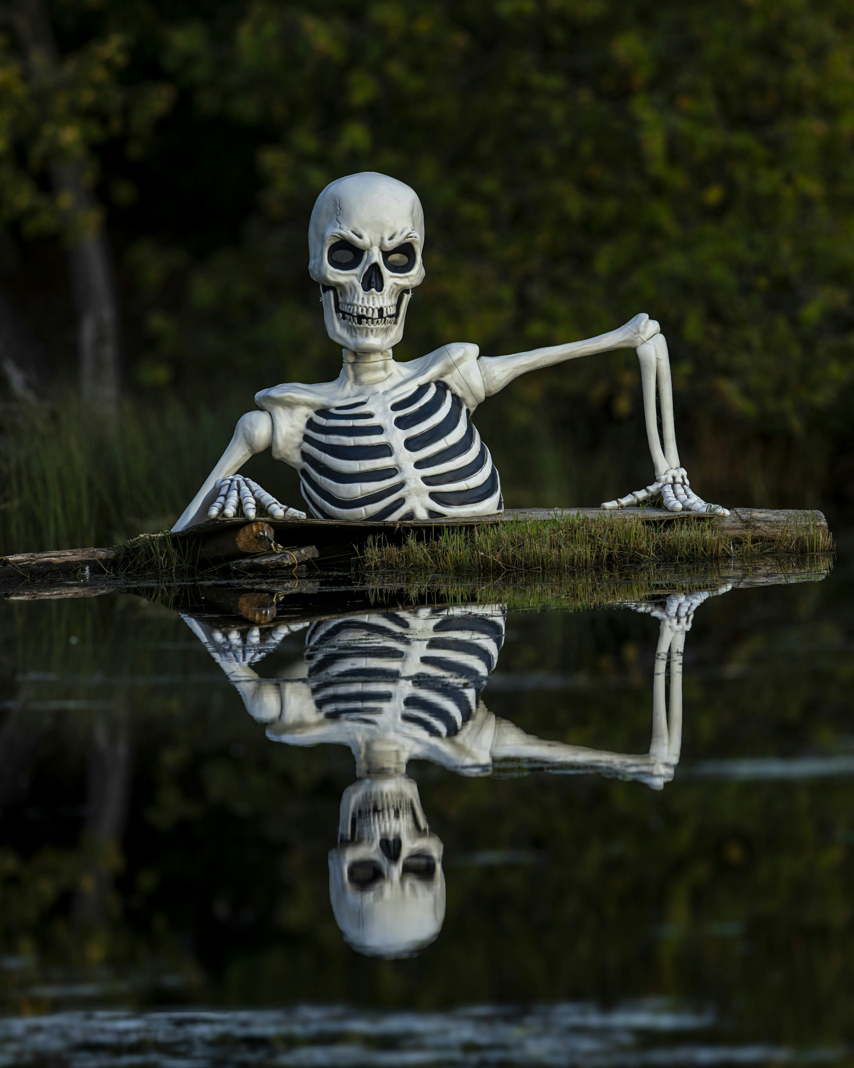 Skeleton on a Log, Silhouetted by Still Water and Green Background
