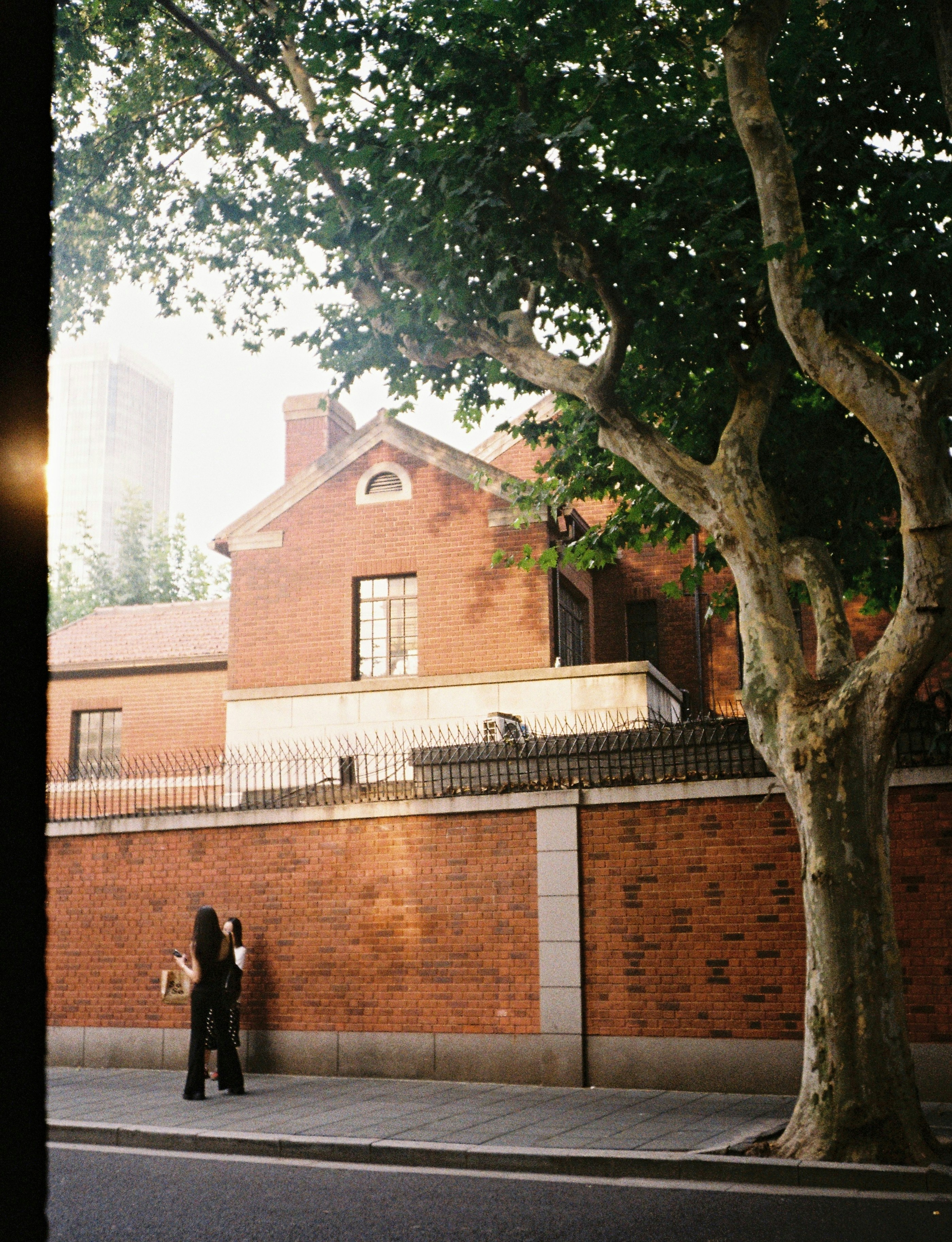 Couple in shadowed lane beside red brick residence under a sprawling tree