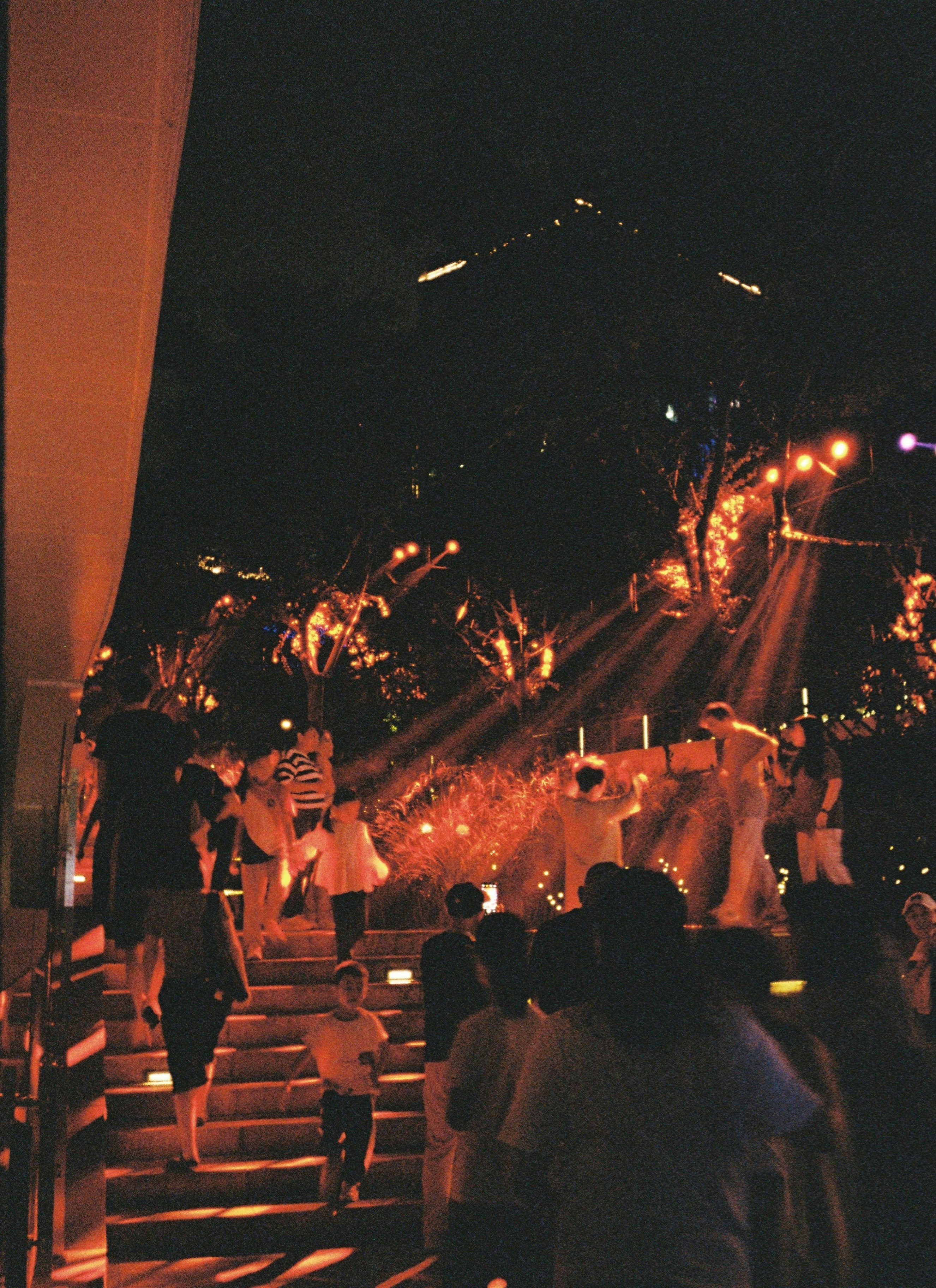 Night Steps and Lanterns: A Crowd Moving Through Glowing Pathways