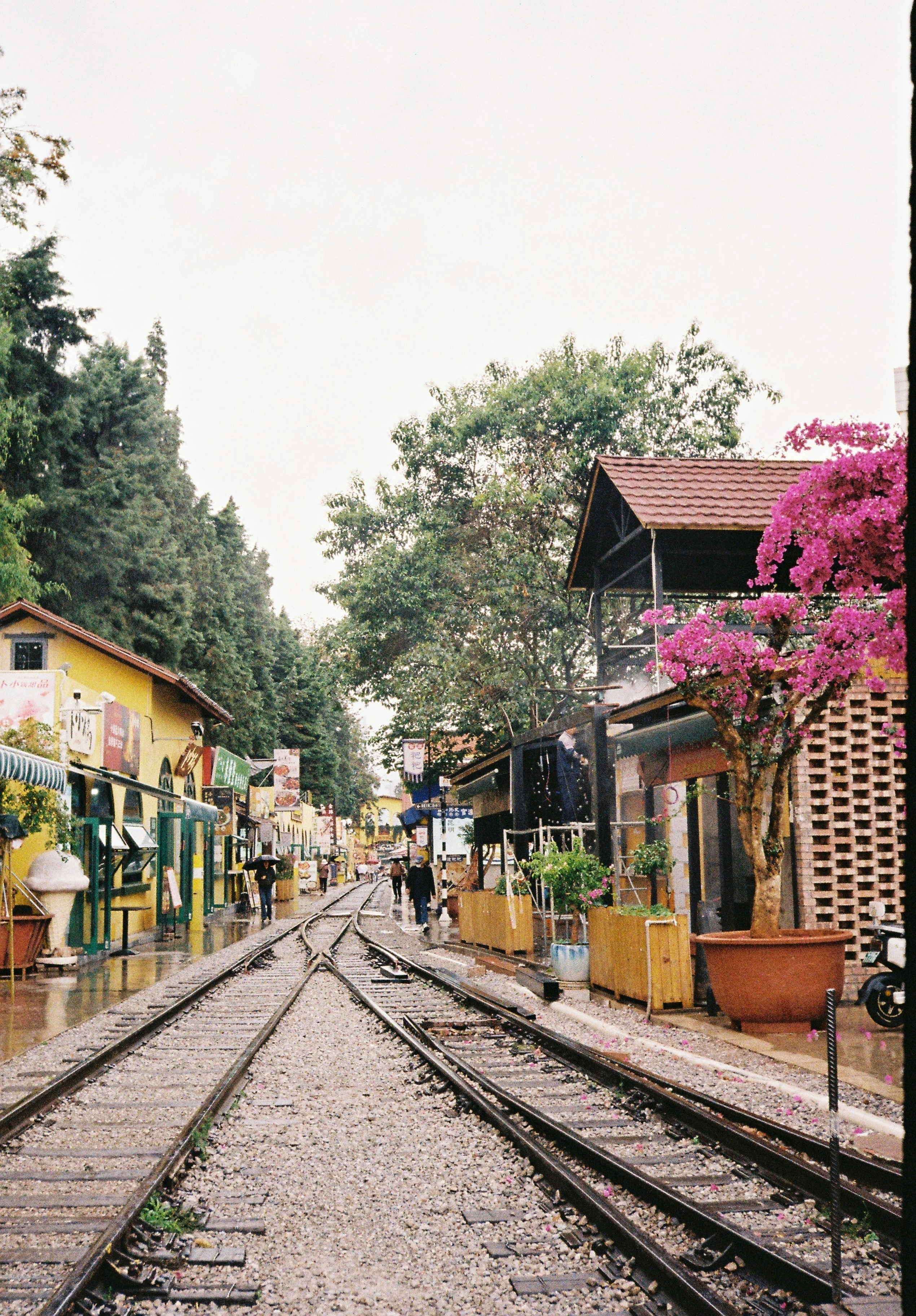 Railway Street in Bloom: A Quiet Track through a Colorful Village