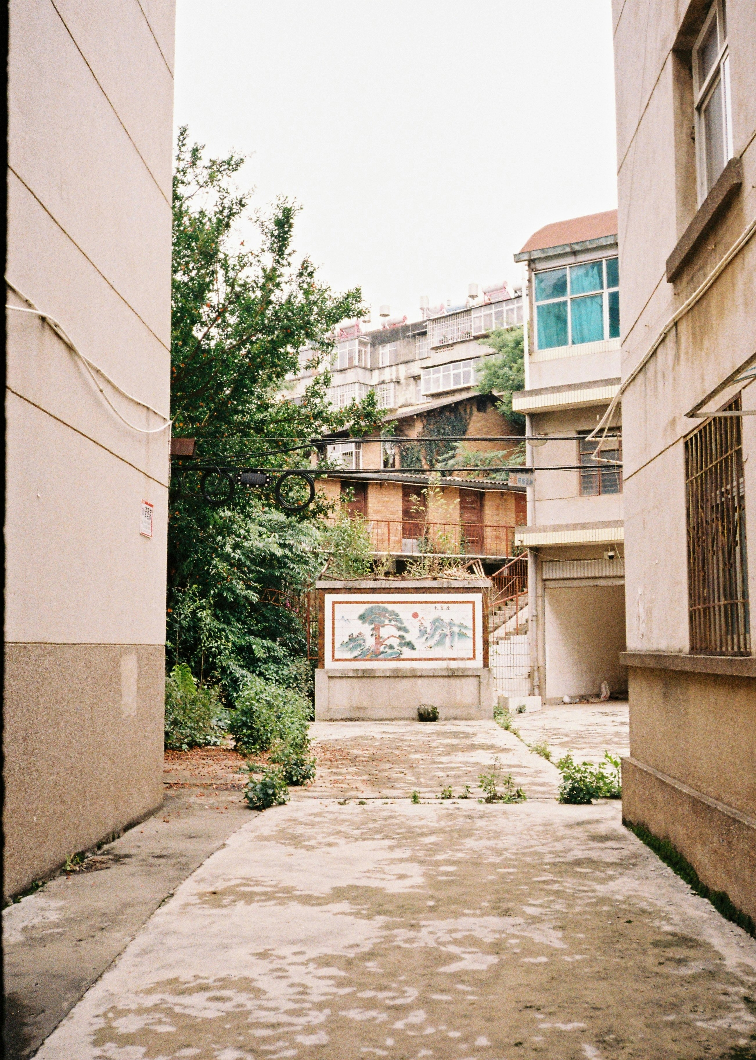 Quiet Courtyard Between Tall Walls
