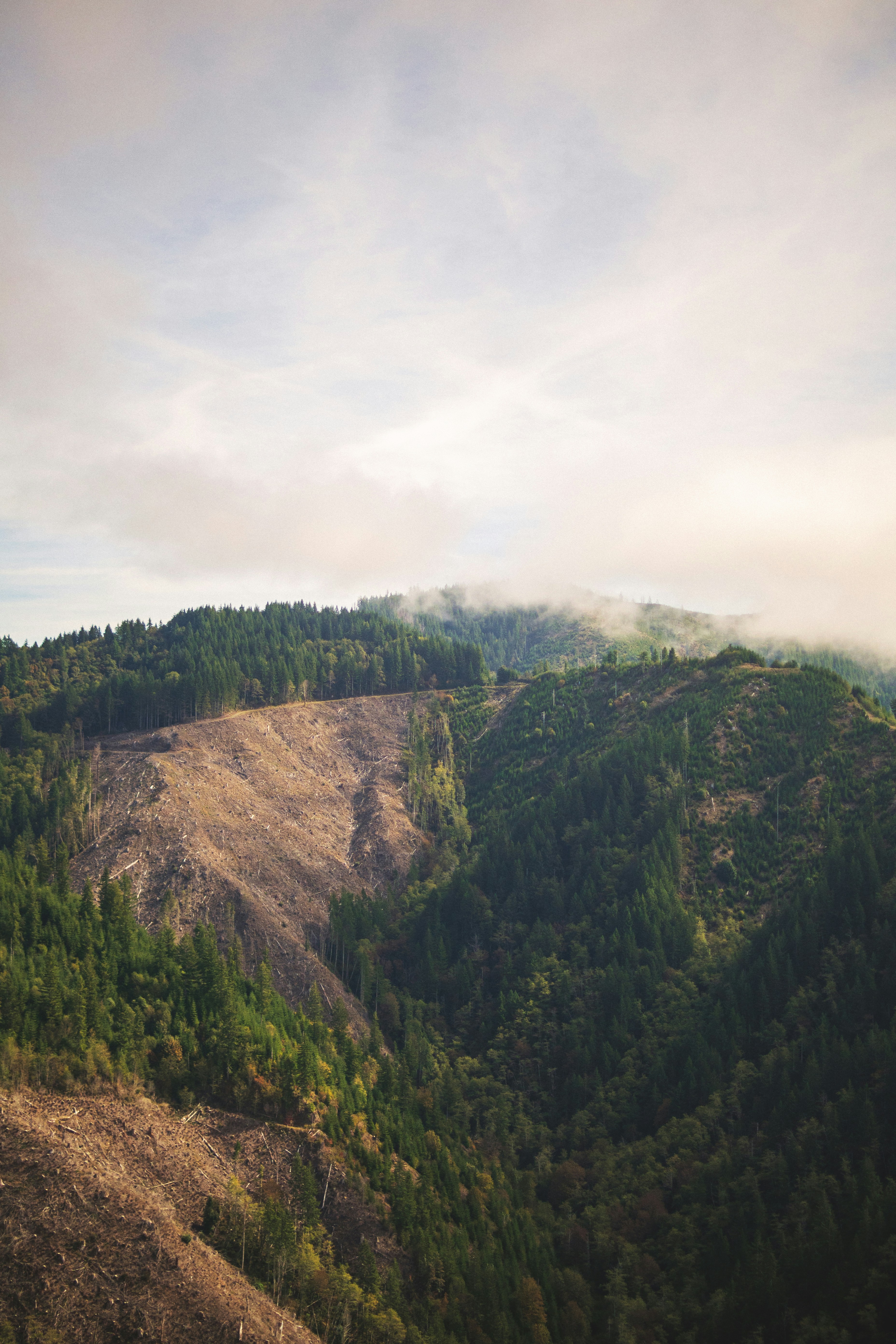 Sunlit Ridge: A Misty Crest Over Verdant Slopes