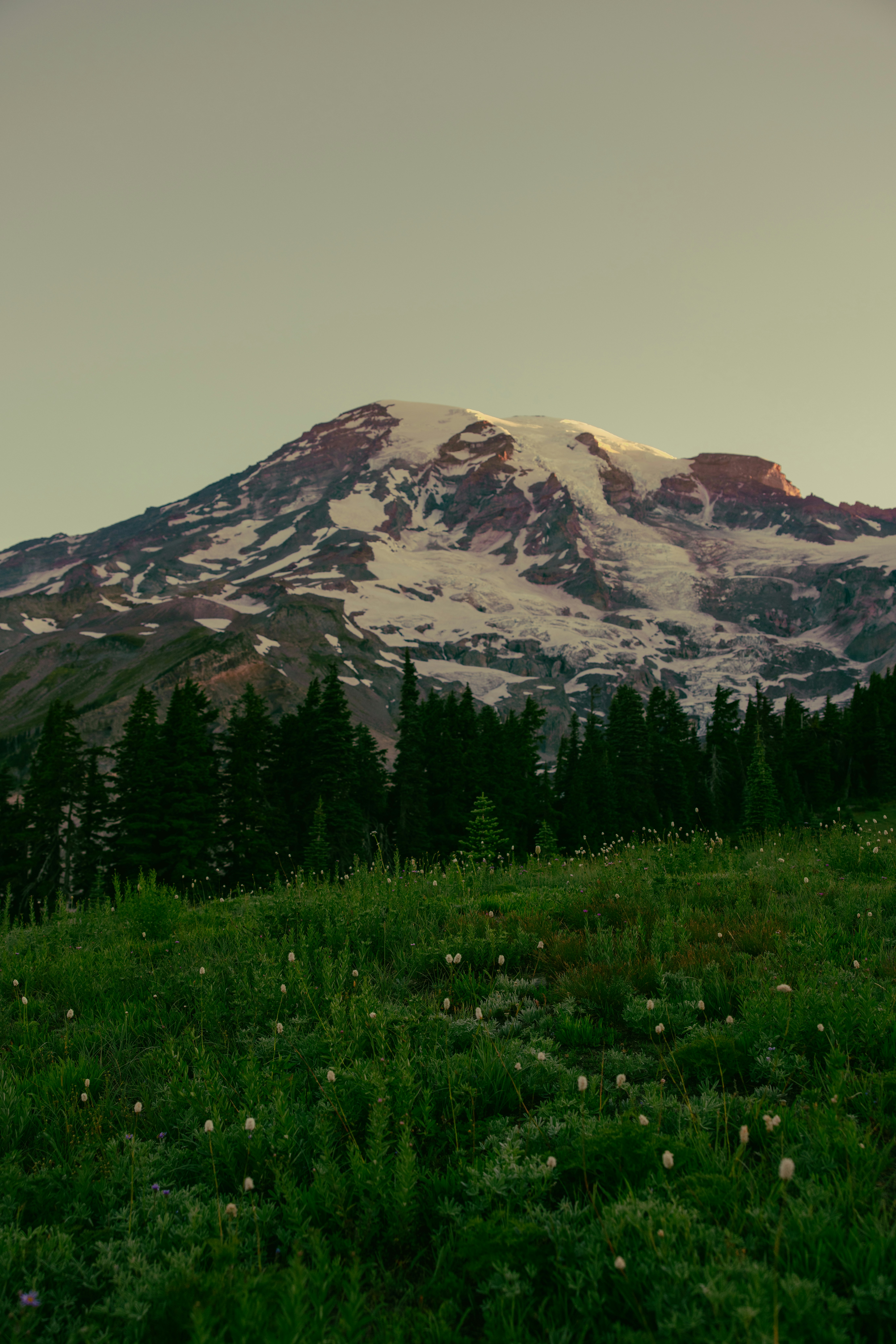 Towering Apex: Snow-Capped Promise Over Meadow and Pines