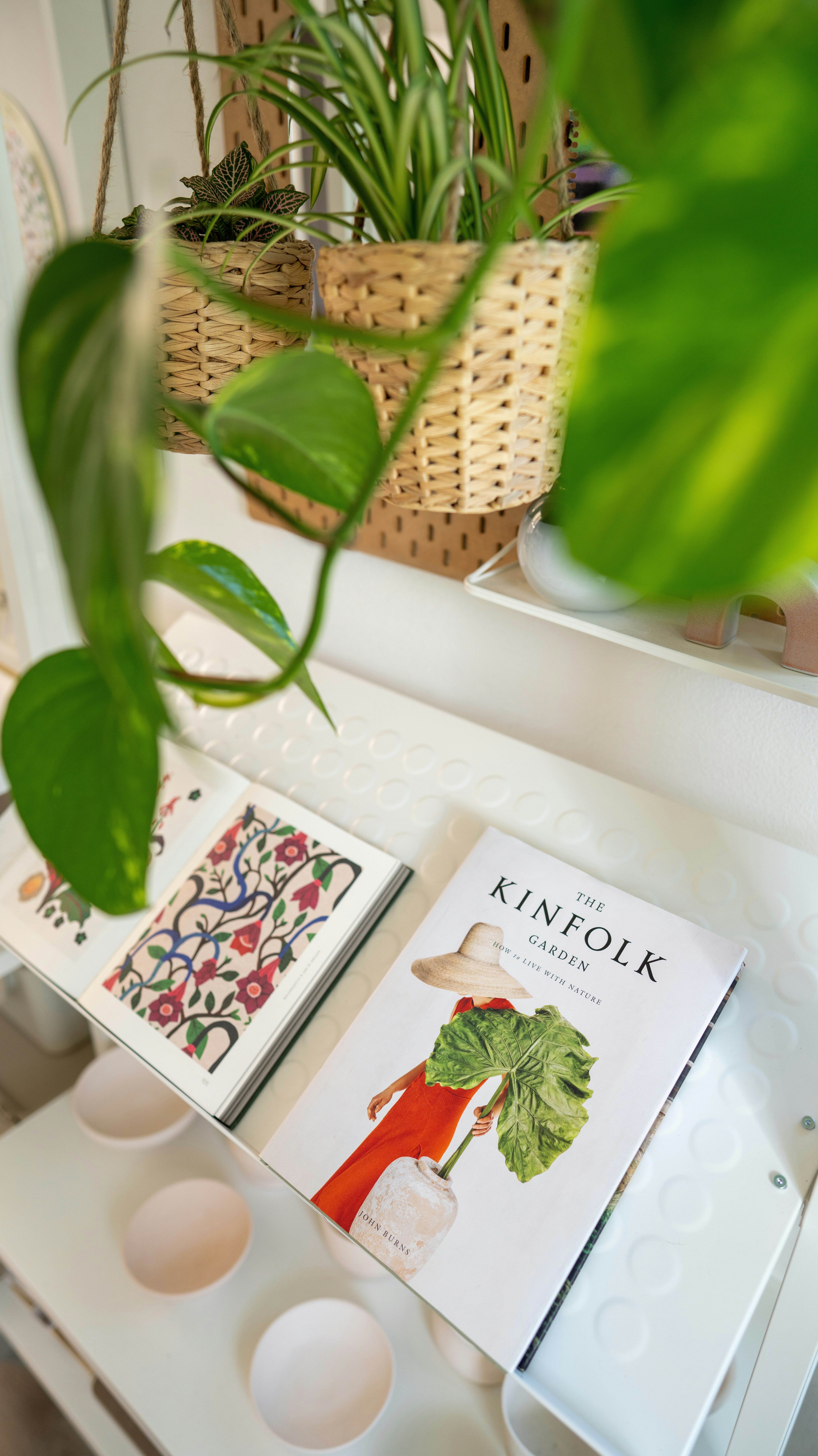 Herbal Still Life: A Quiet Corner with Plants and a Fashion Magazine