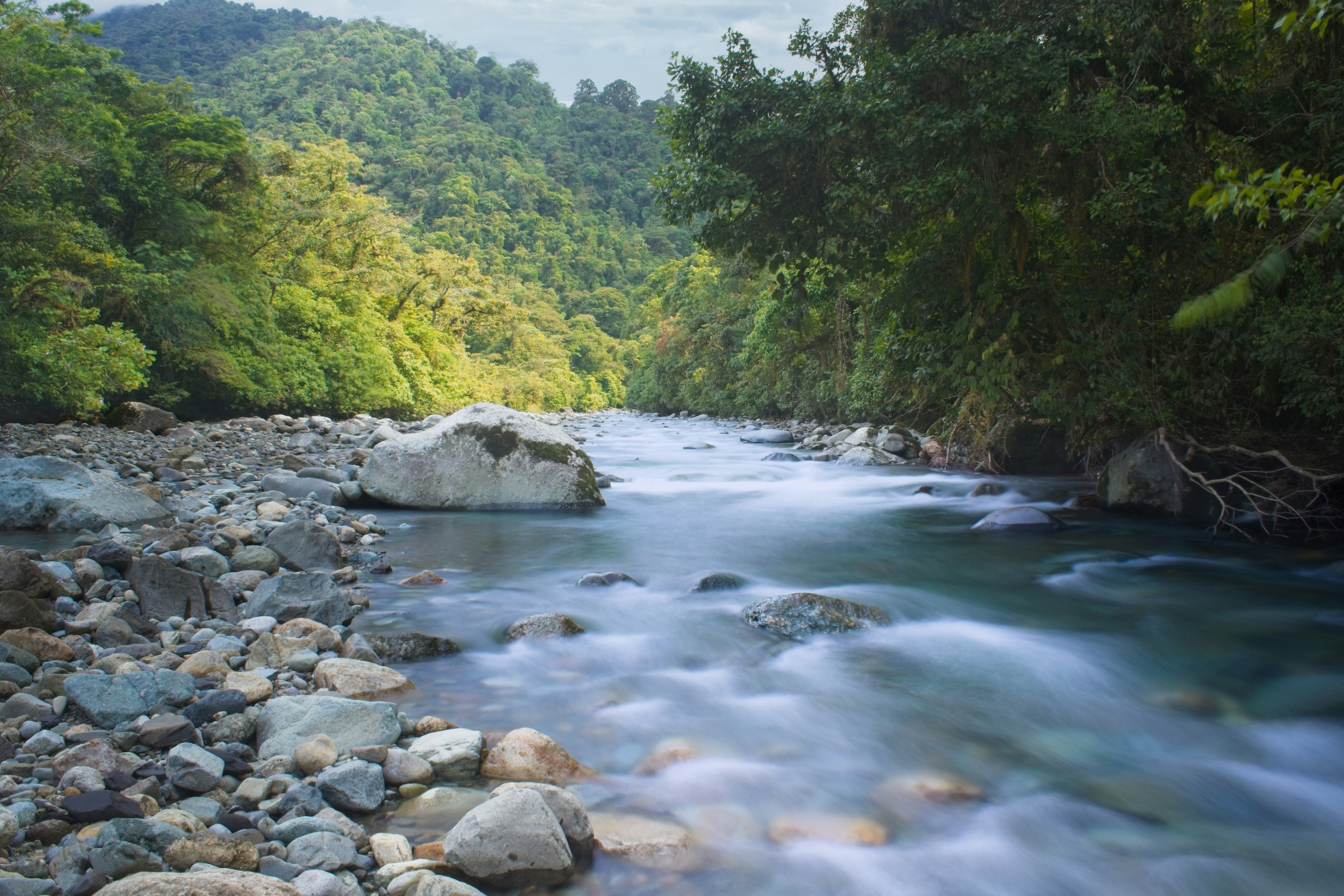 Swift river winds through a rocky bed bordered by forested slopes and distant hills; long exposure softens the water while retaining the rugged shoreline.