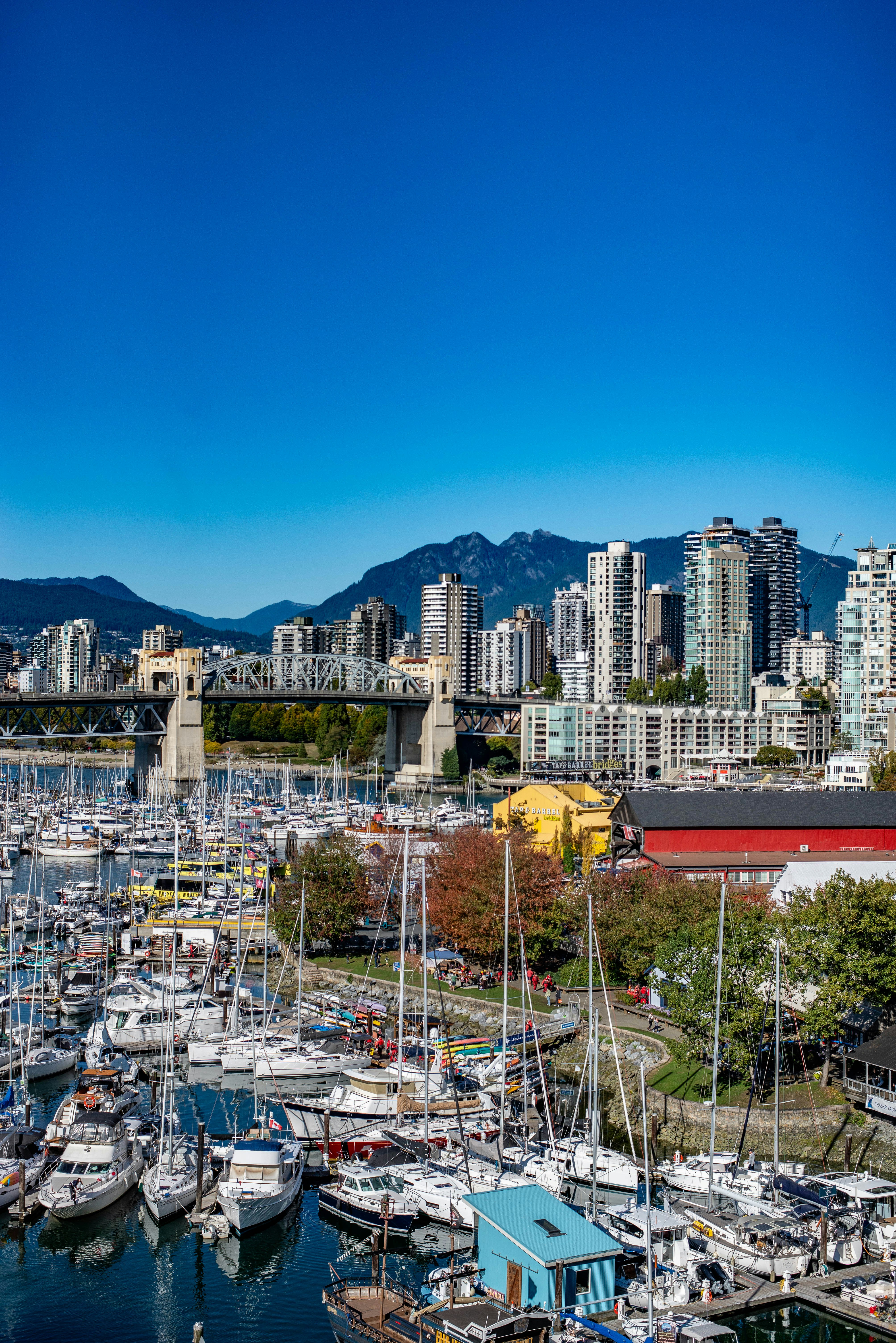 Harbor Towers and Marina: A Cityscape Baked in Sunlight