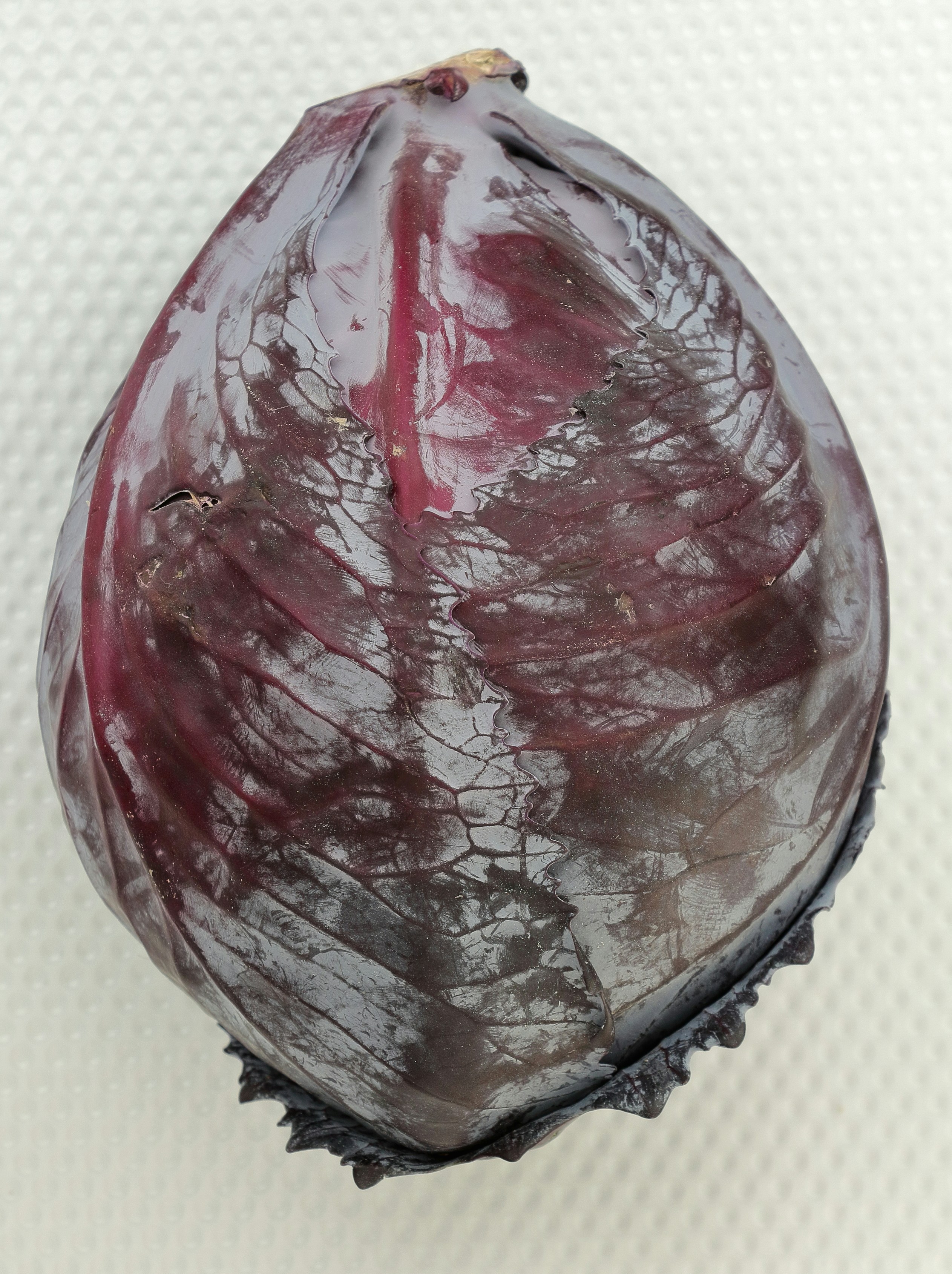 Crimson Seed: A Close-Up of a Pebbled, Wrinkled Fruit Under Soft Backdrop
