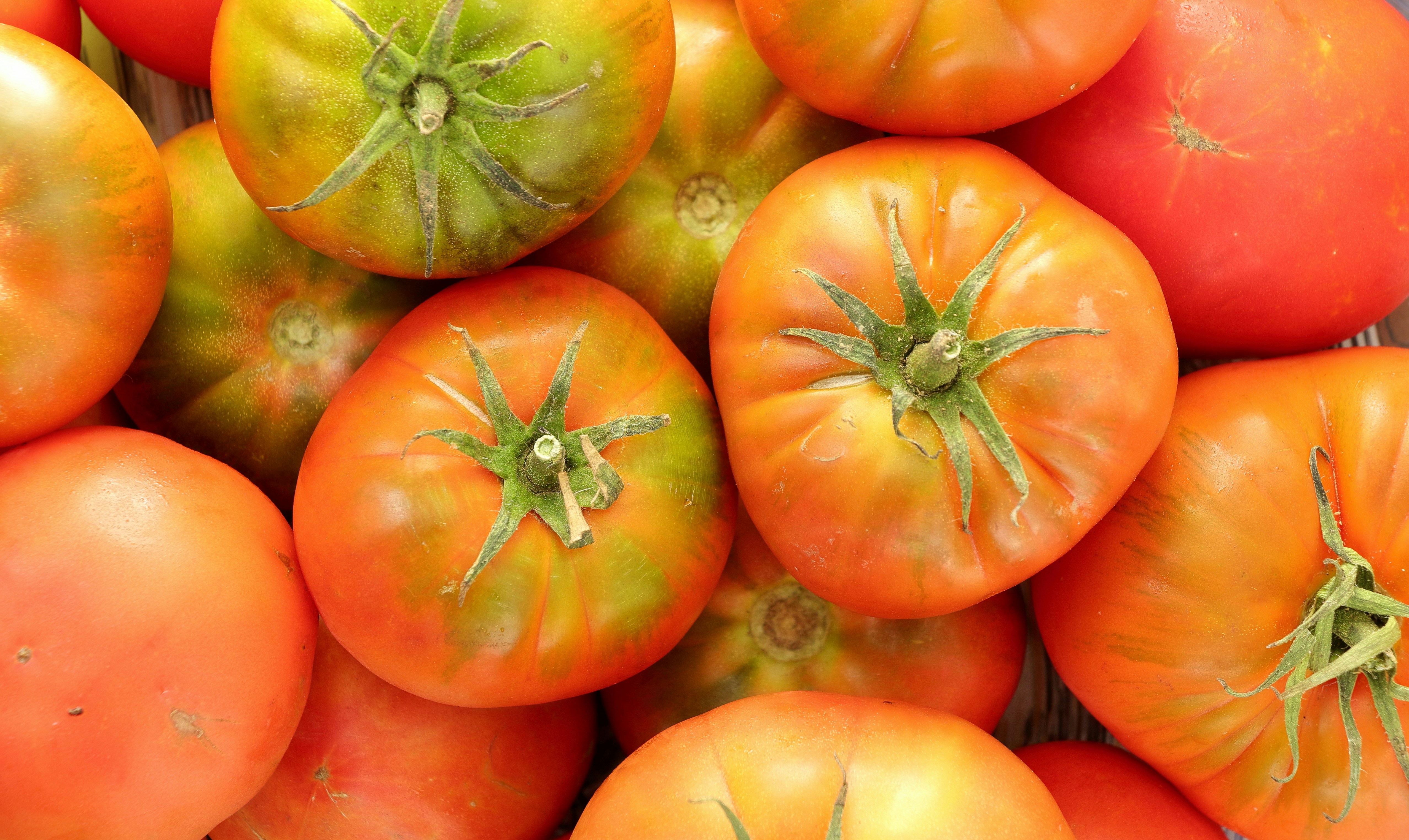 Sun-warmed Tangles: Glowing Heirloom Tomatoes in a Market Bunch