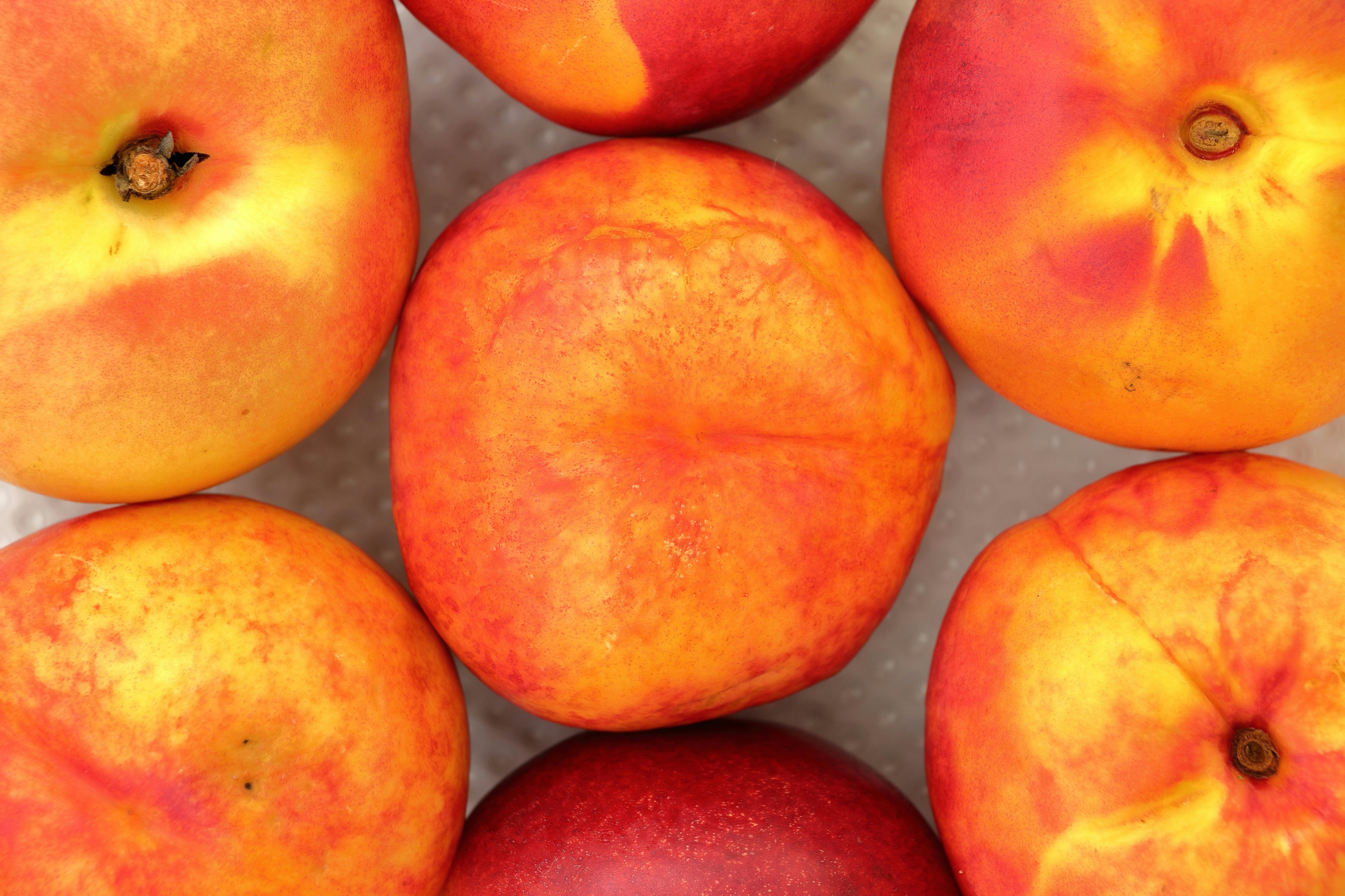 Juicy Grid: Close-Up of Nectarine Oranges Framed in Bright Autumn Hues