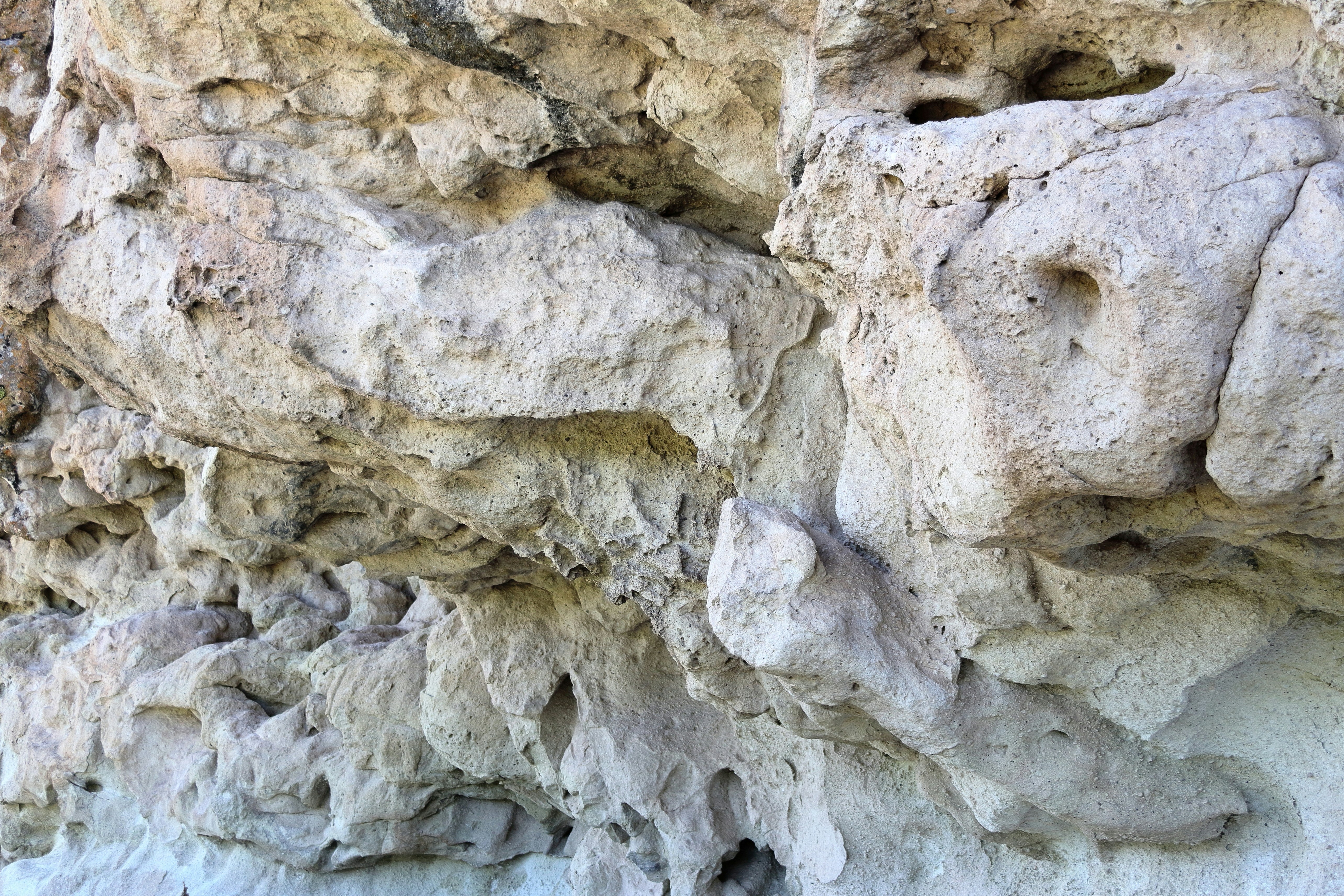 Weathered limestone mosaic: sunlight catching the sculpted crevices